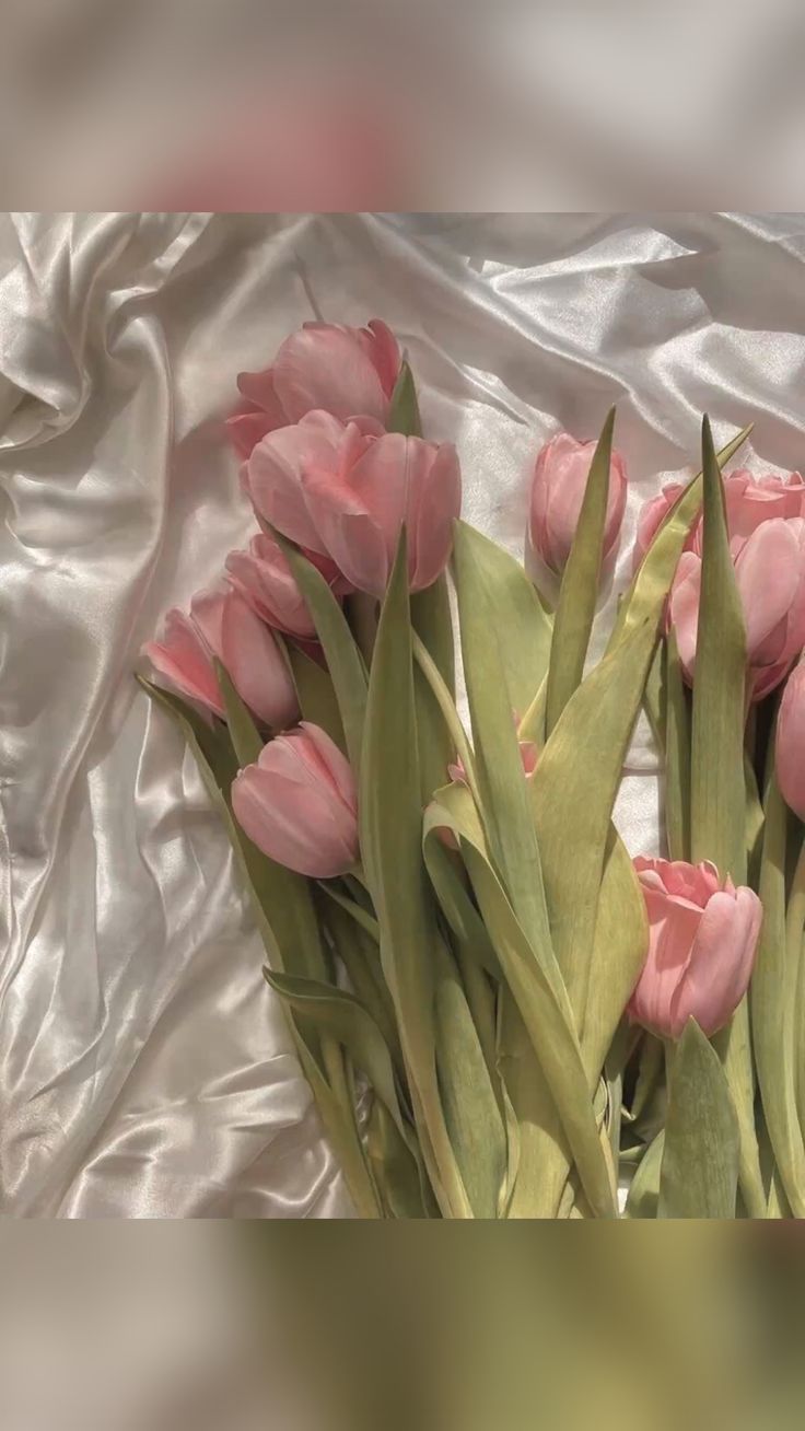 Tulips Aesthetic Wallpapers - Wallpaper Cave