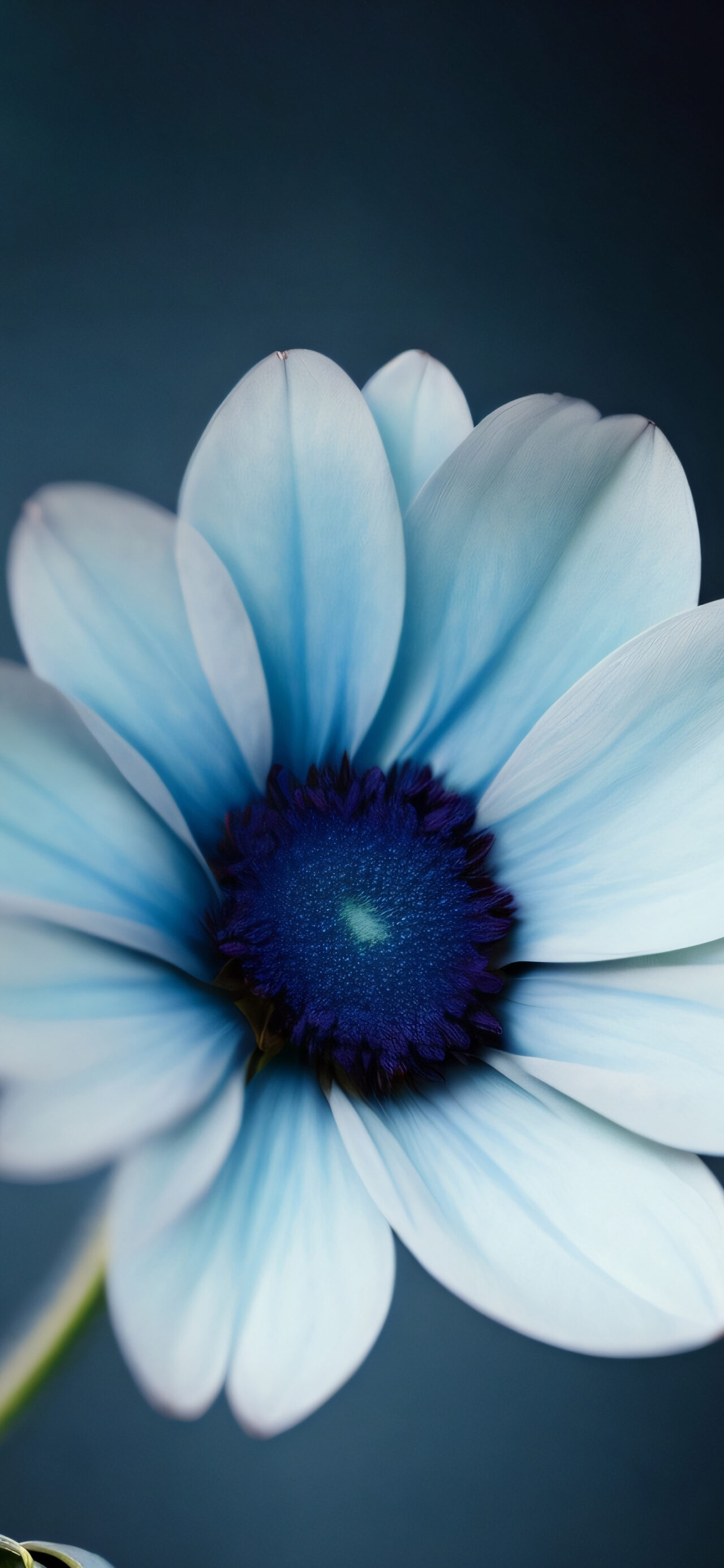 iPhone Blue Flower Wallpapers - Wallpaper Cave