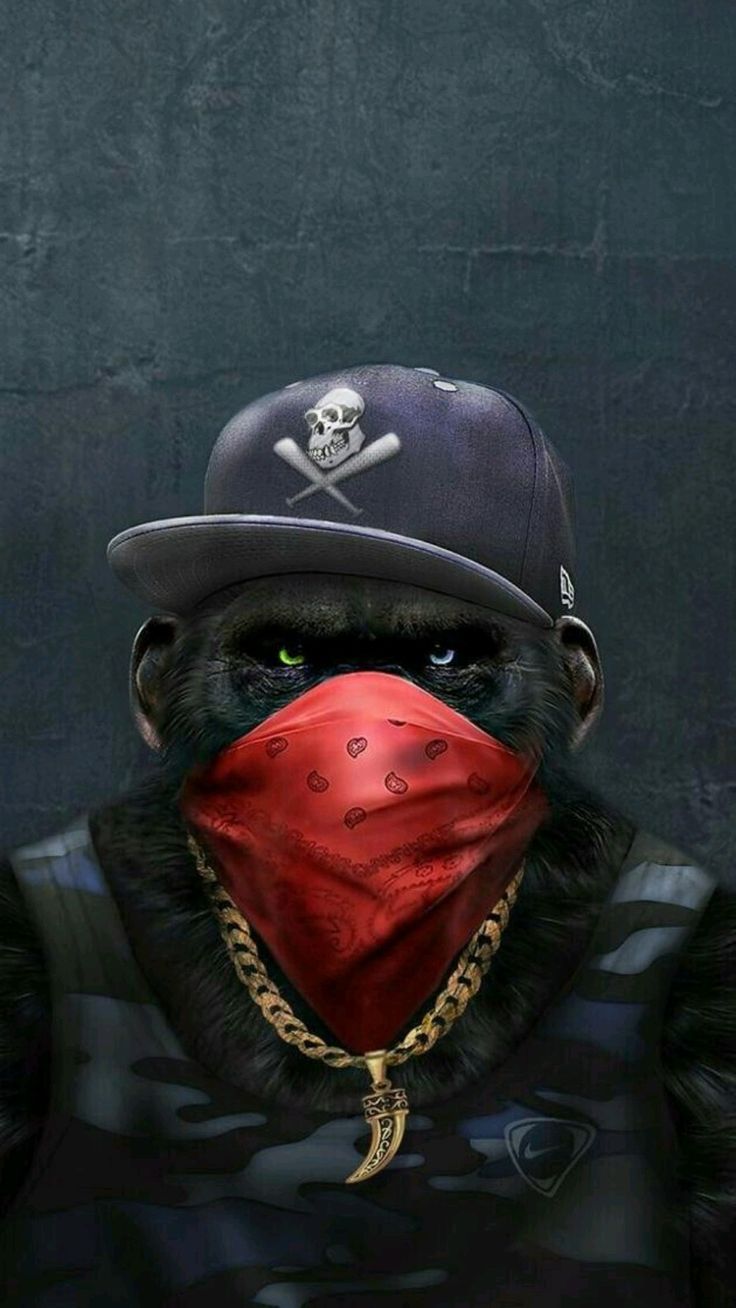 Monkey Gang Wallpapers - Wallpaper Cave