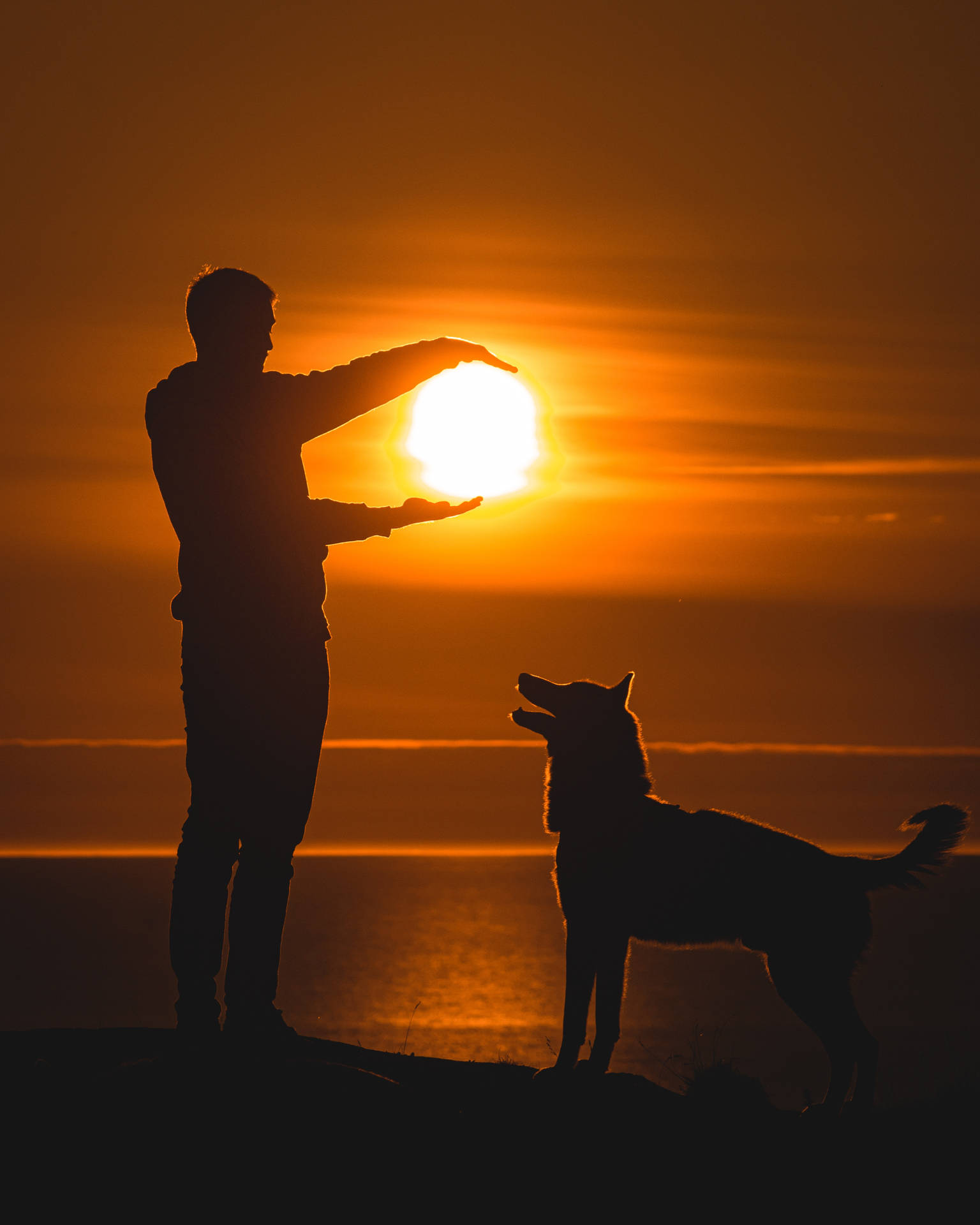 Sunset Dog Wallpapers - Wallpaper Cave