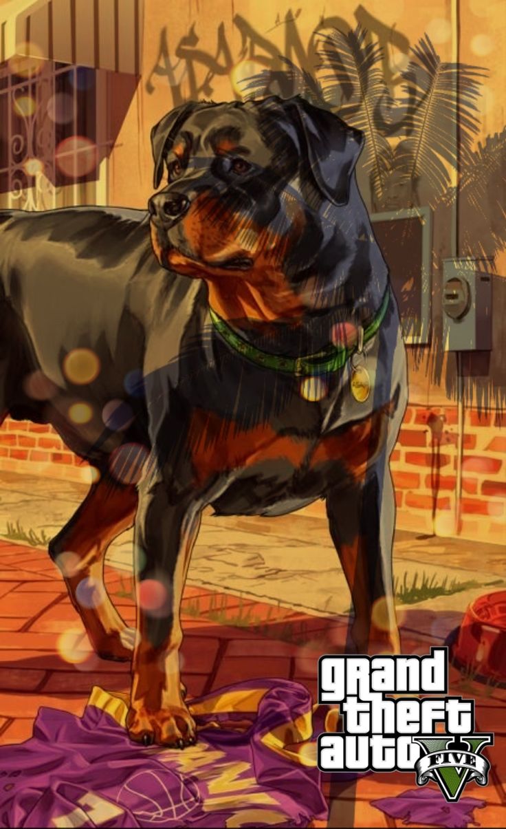 Chop GTA Wallpapers - Wallpaper Cave