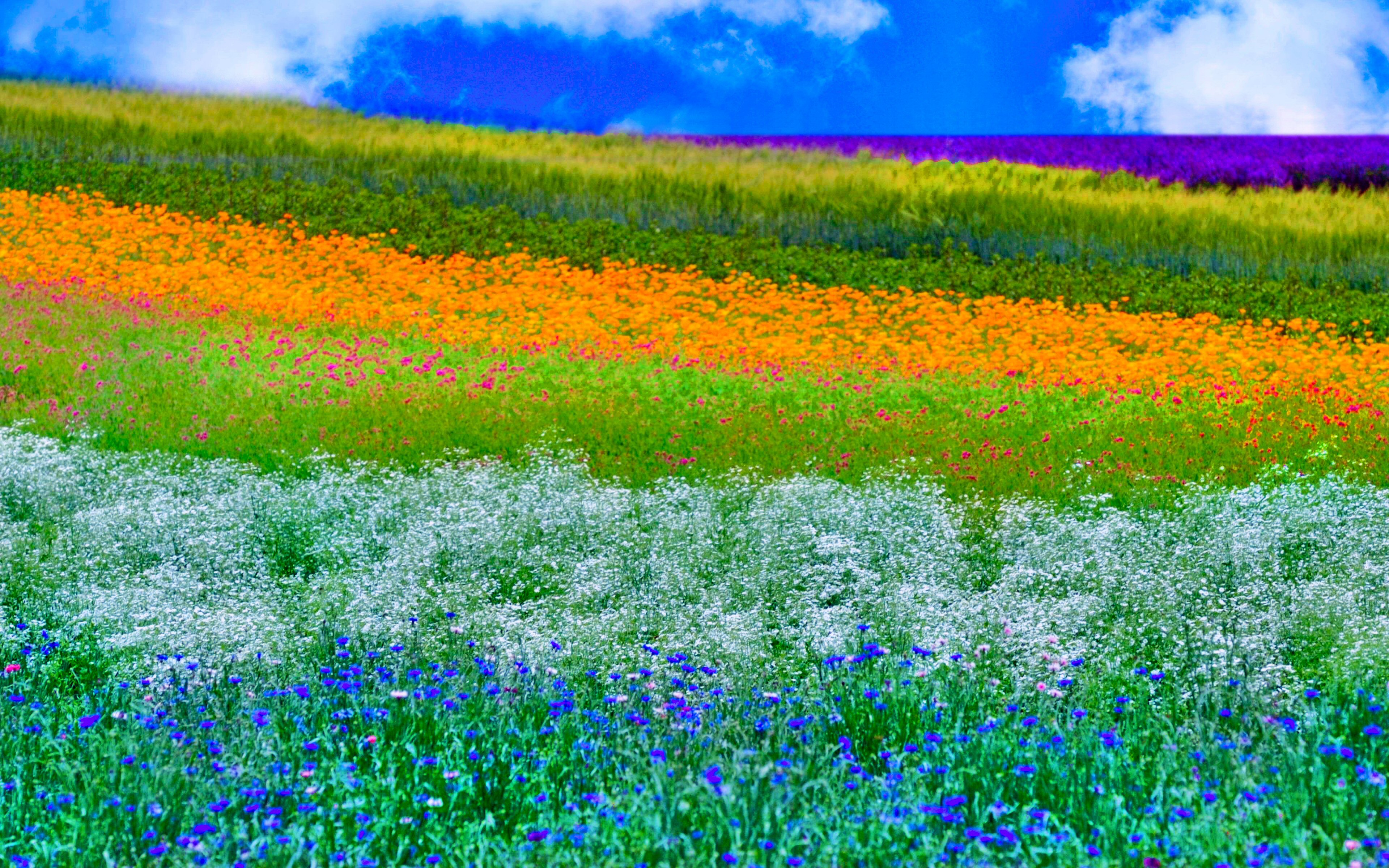 Nature Spring Meadows Wallpapers - Wallpaper Cave