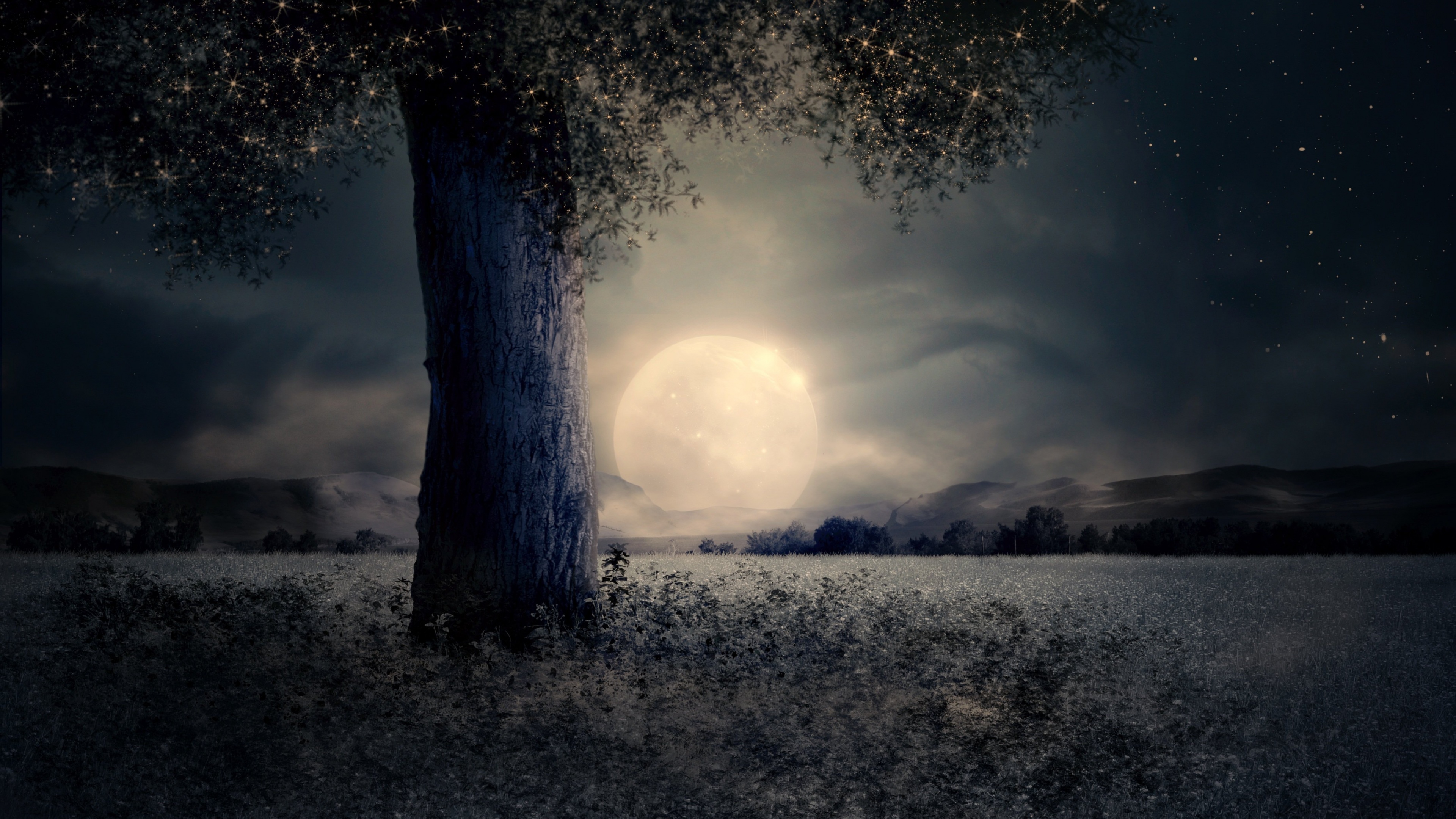 Moon View Wallpapers - Wallpaper Cave