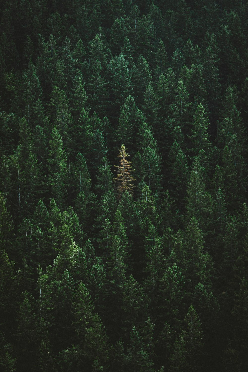 4k Tablets Wallpapers - Wallpaper Cave