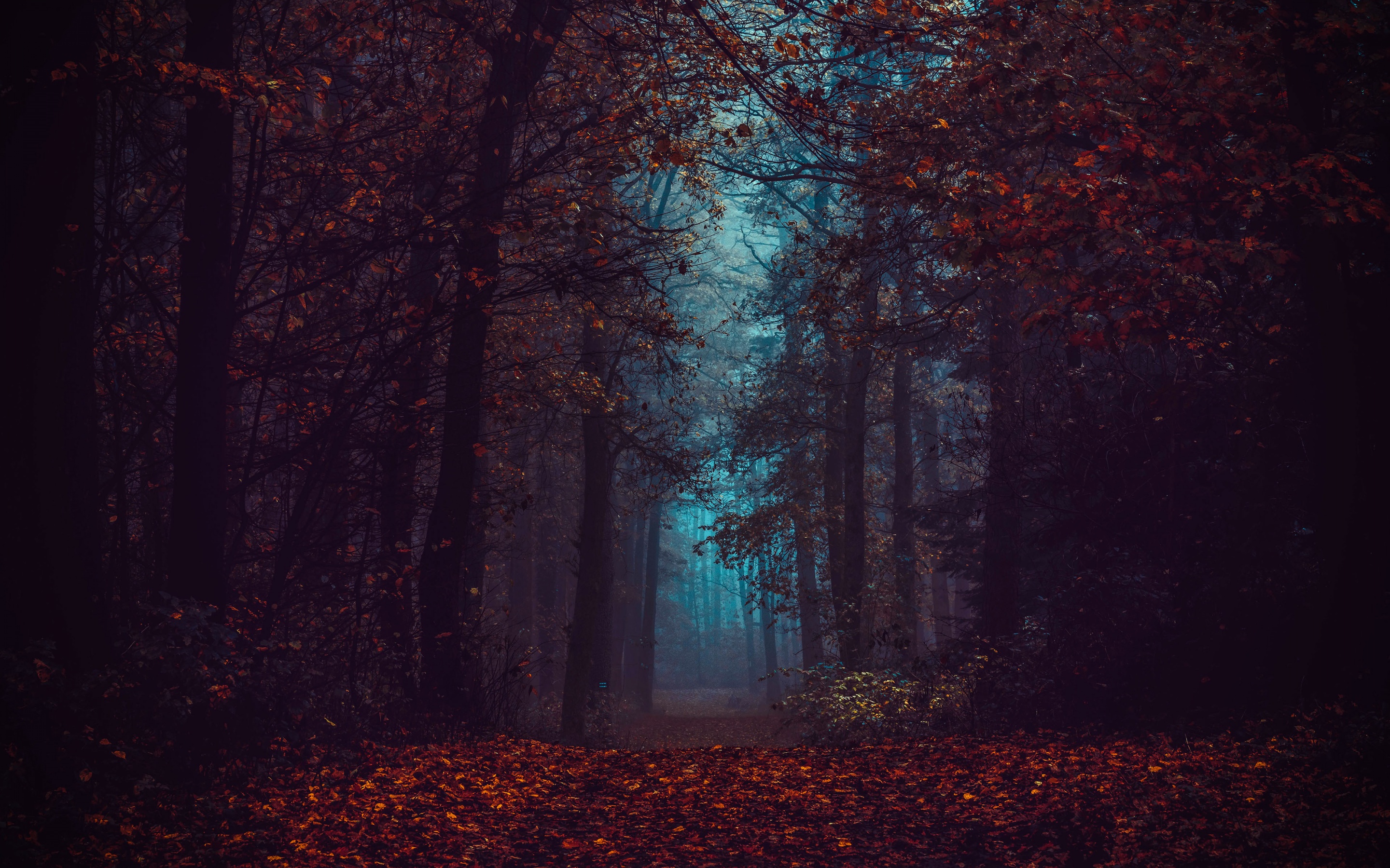 Dark Path Wallpapers - Wallpaper Cave