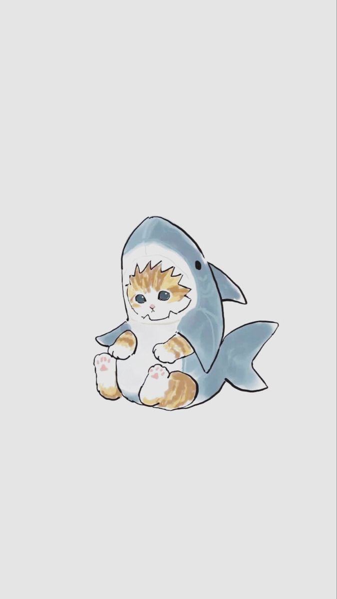 Shark Cat Wallpapers - Wallpaper Cave