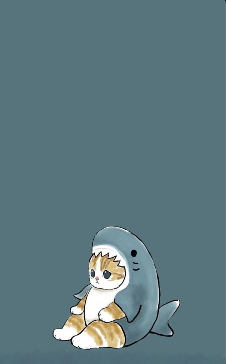 Shark Cat Wallpapers - Wallpaper Cave
