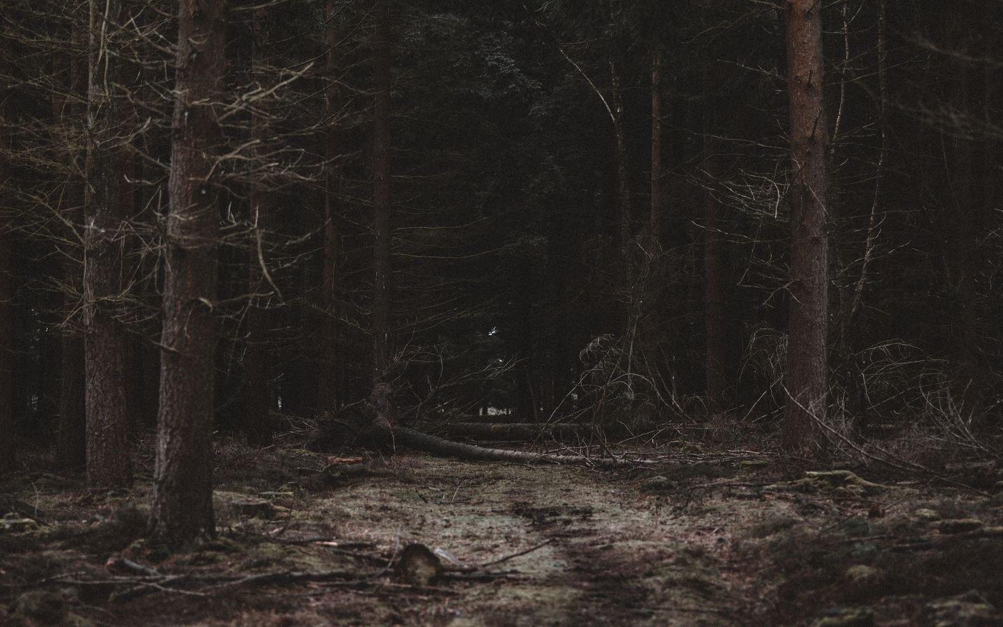 Dark Path Wallpapers - Wallpaper Cave