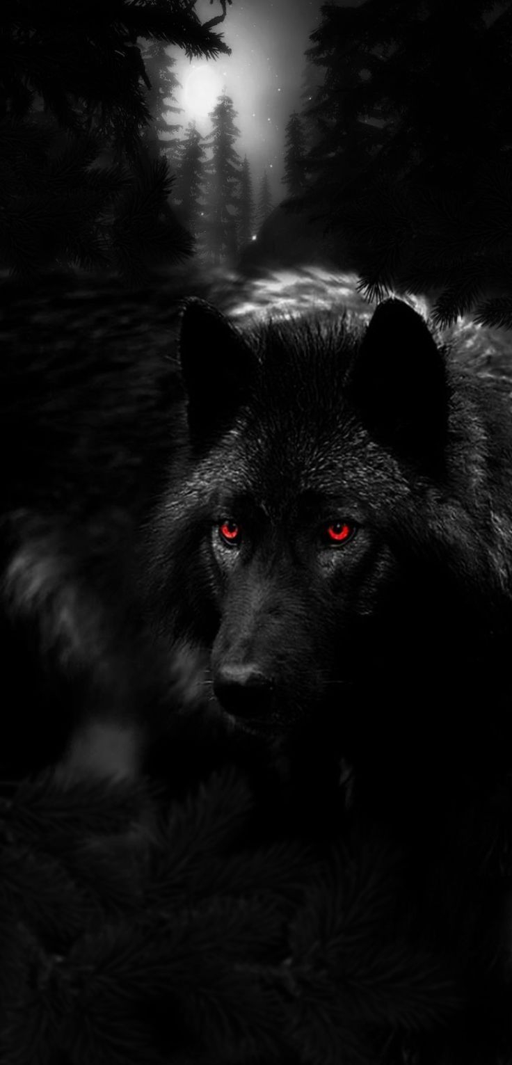 Wolf Red Eyes Wallpapers - Wallpaper Cave