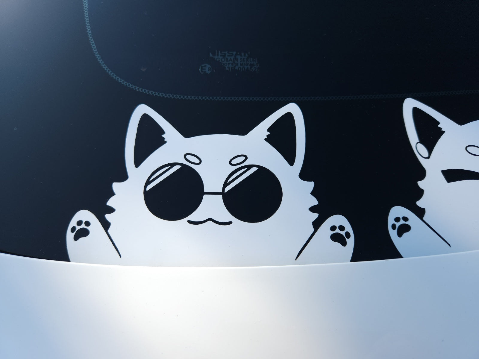 Gojo Cat Desktop Wallpapers - Wallpaper Cave