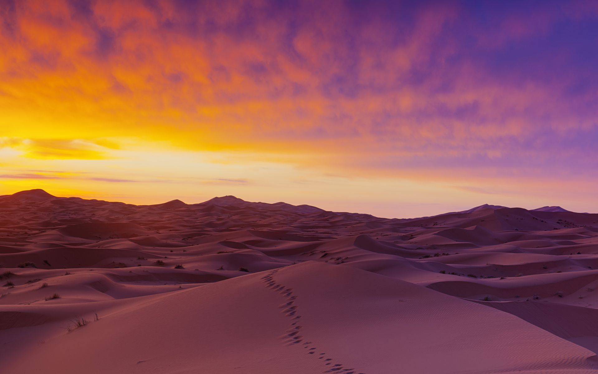 Sahara Desert Desktop Wallpapers - Wallpaper Cave