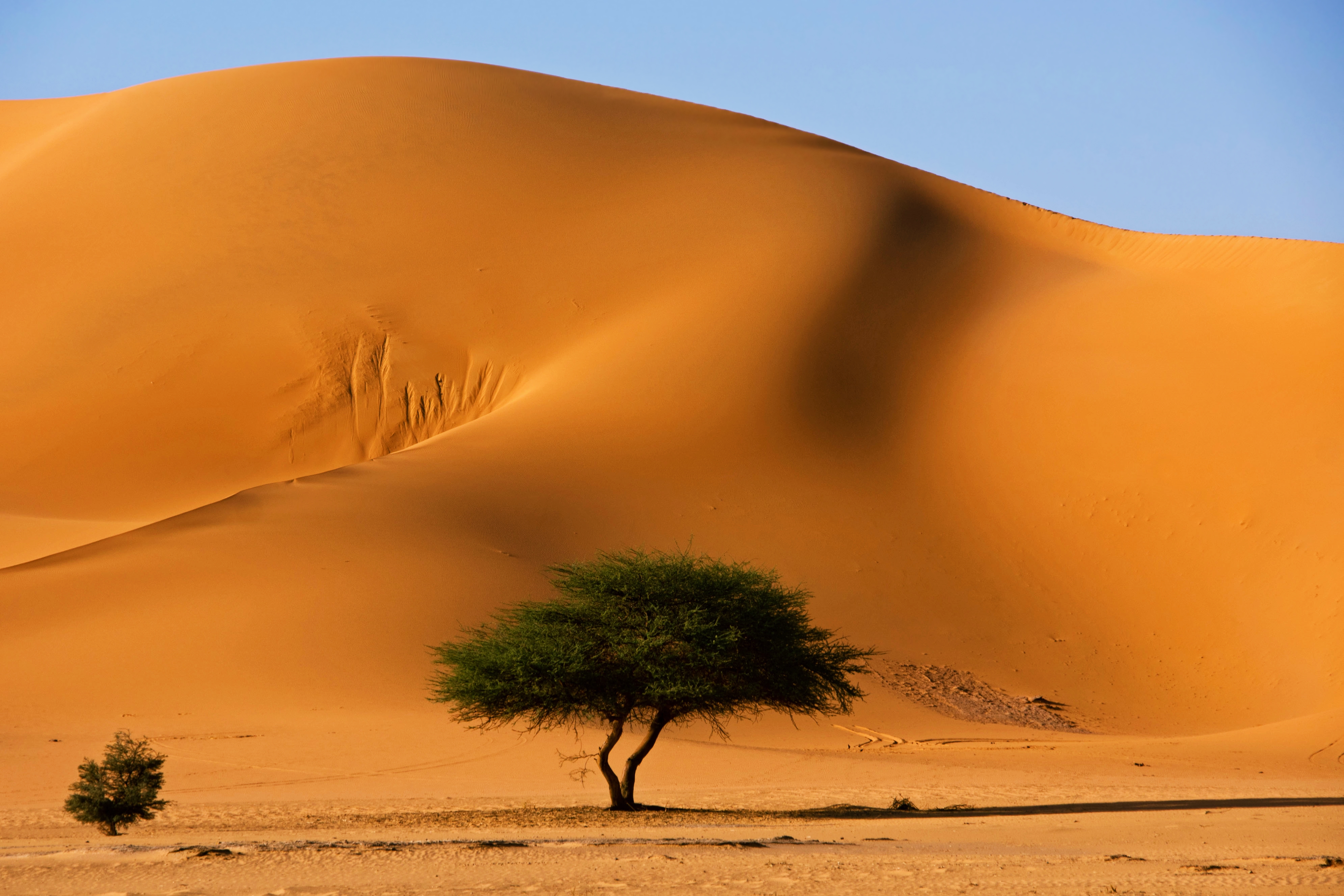 Sahara Desert Desktop Wallpapers - Wallpaper Cave