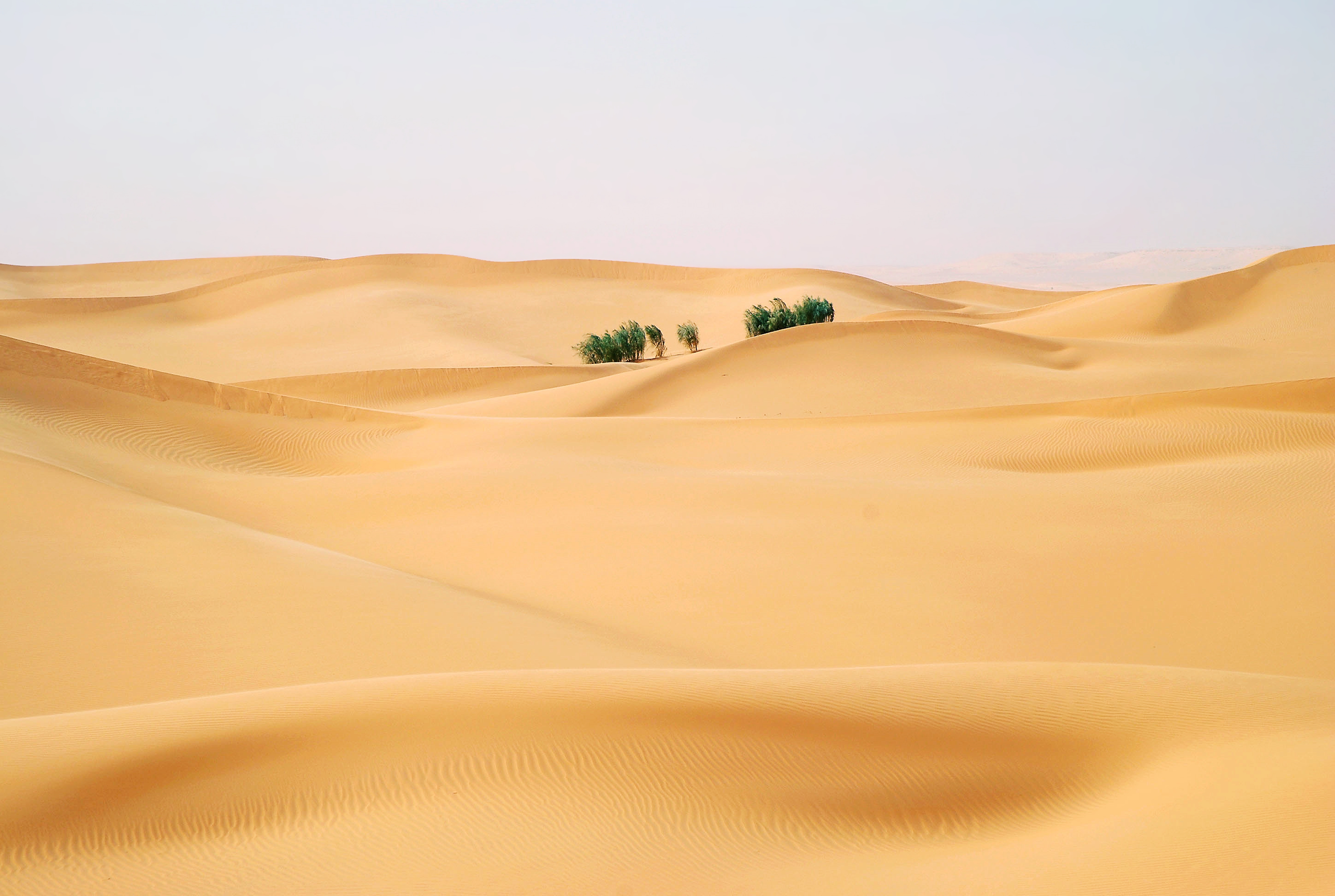 Sahara Desert Desktop Wallpapers - Wallpaper Cave