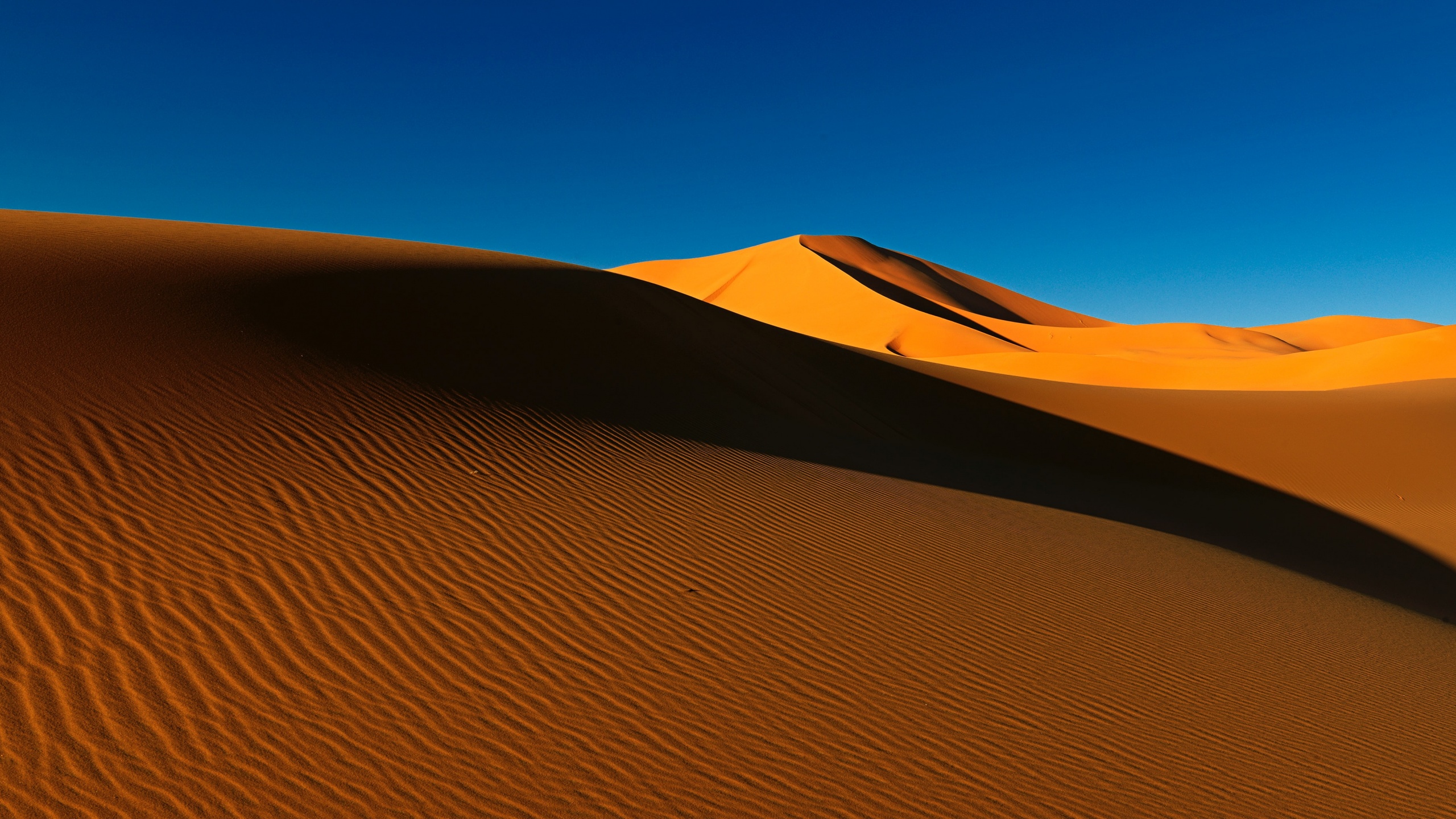 Sahara Desert Desktop Wallpapers - Wallpaper Cave