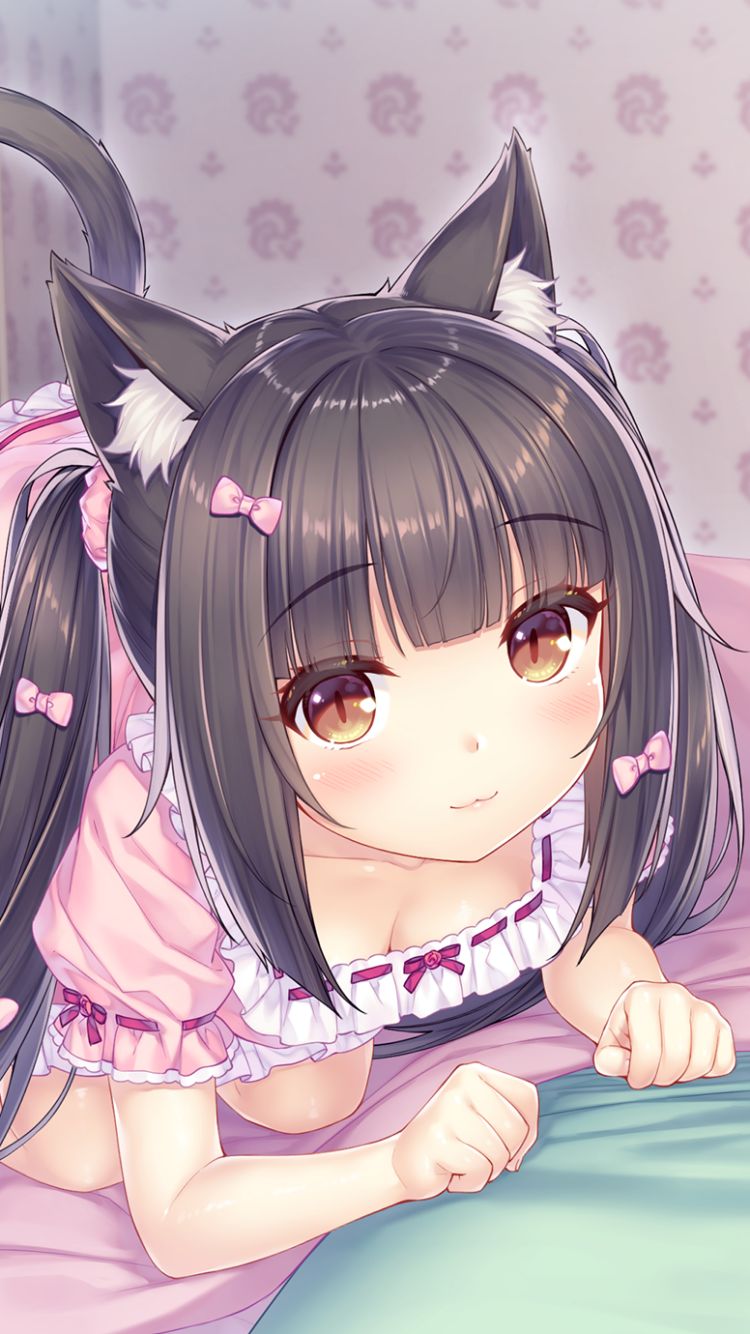 Nekopara Phone Wallpapers Wallpaper Cave