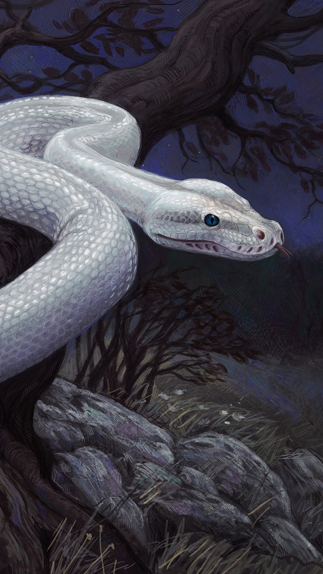 Phone Snake Wallpapers - Wallpaper Cave