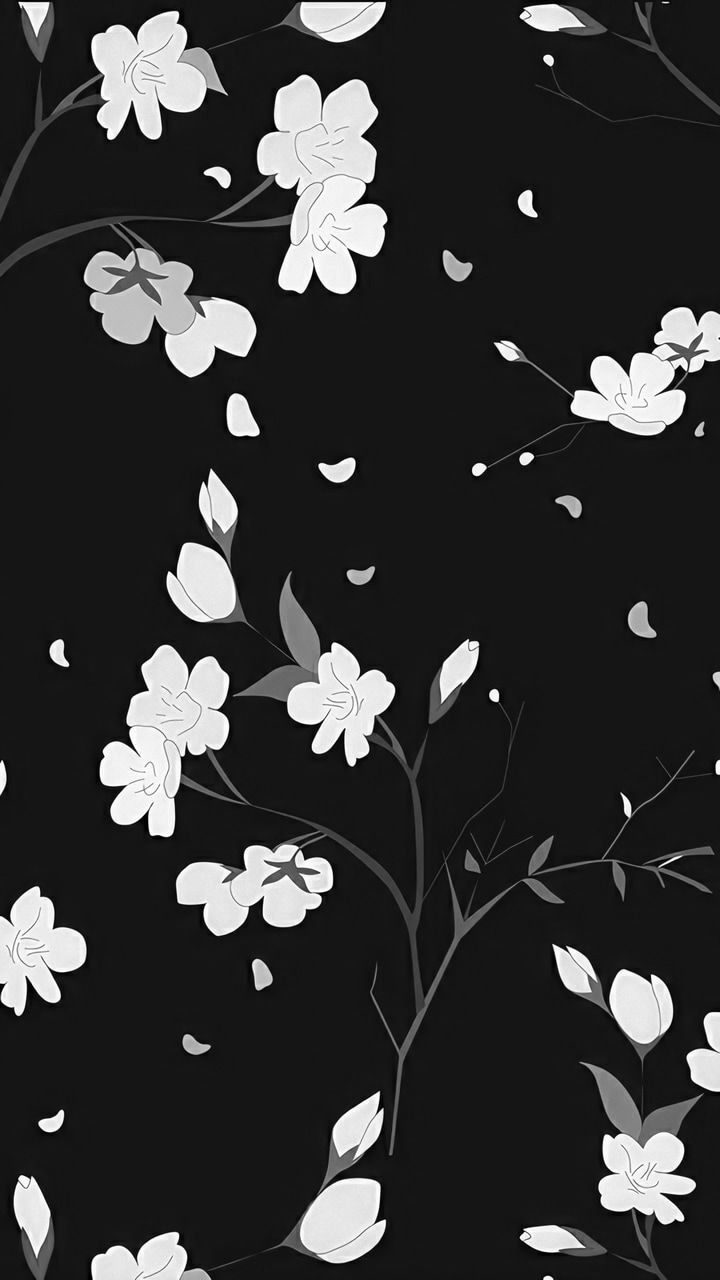 Black And White Sakura Wallpapers Wallpaper Cave