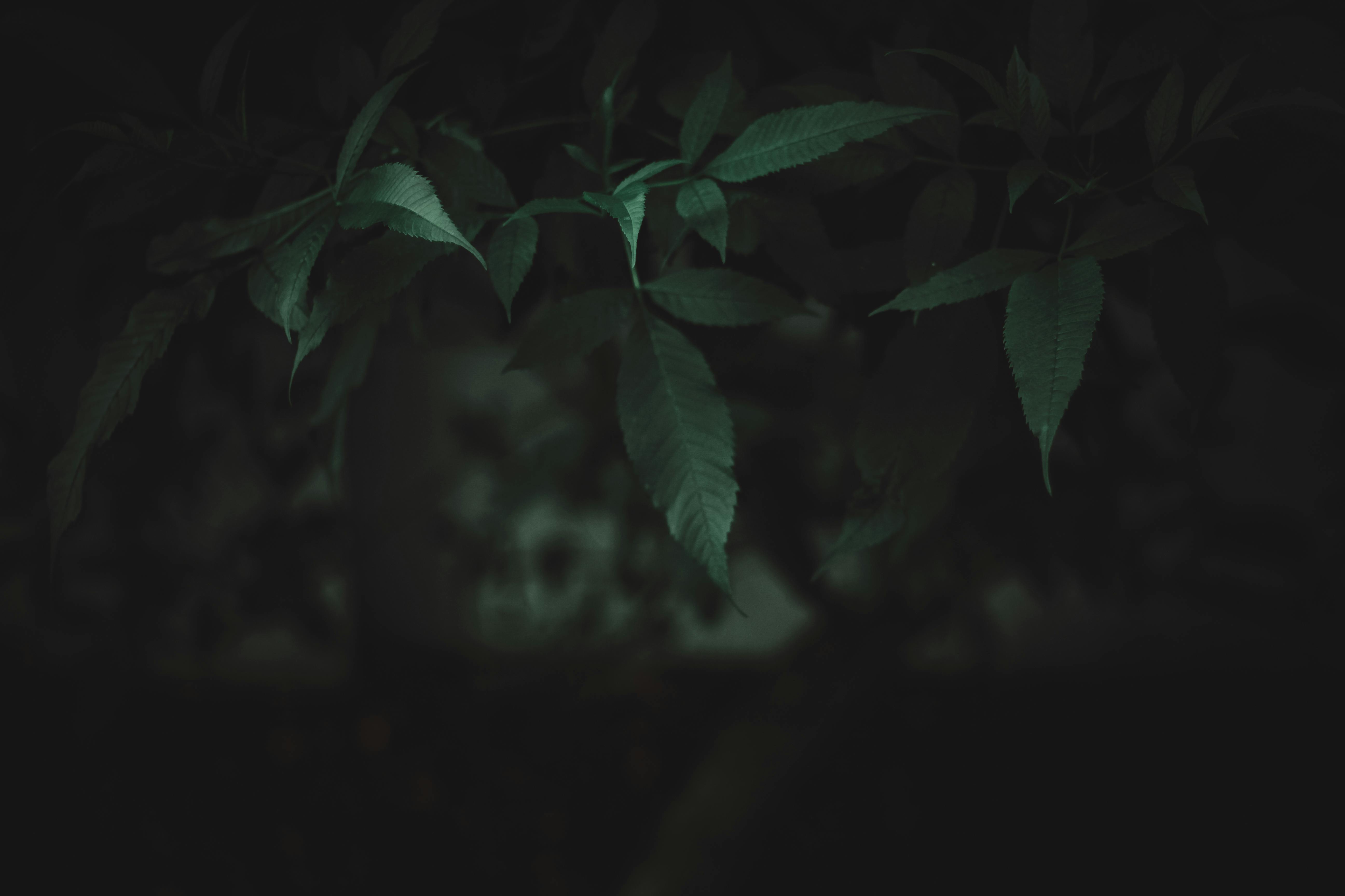 4k Dark Simple Wallpapers - Wallpaper Cave