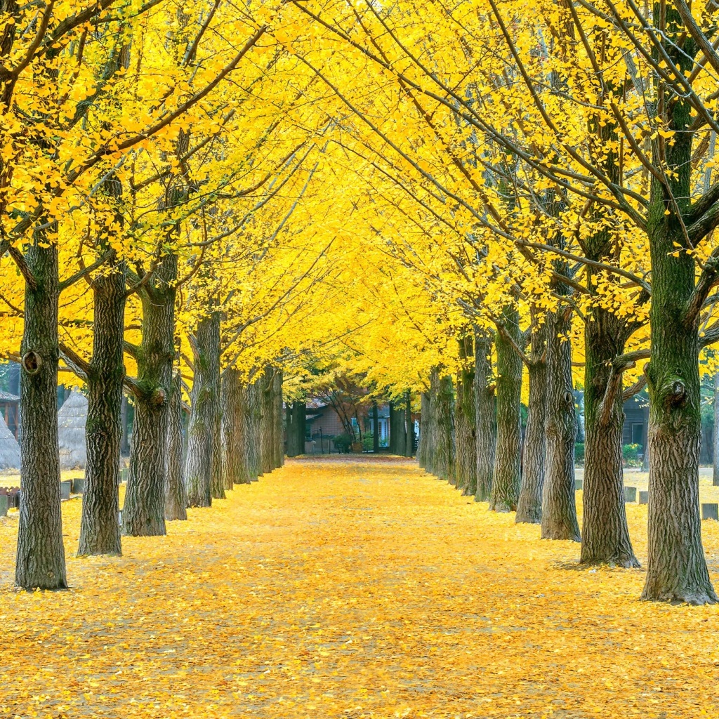 Yellow Spring Roads Wallpapers - Wallpaper Cave