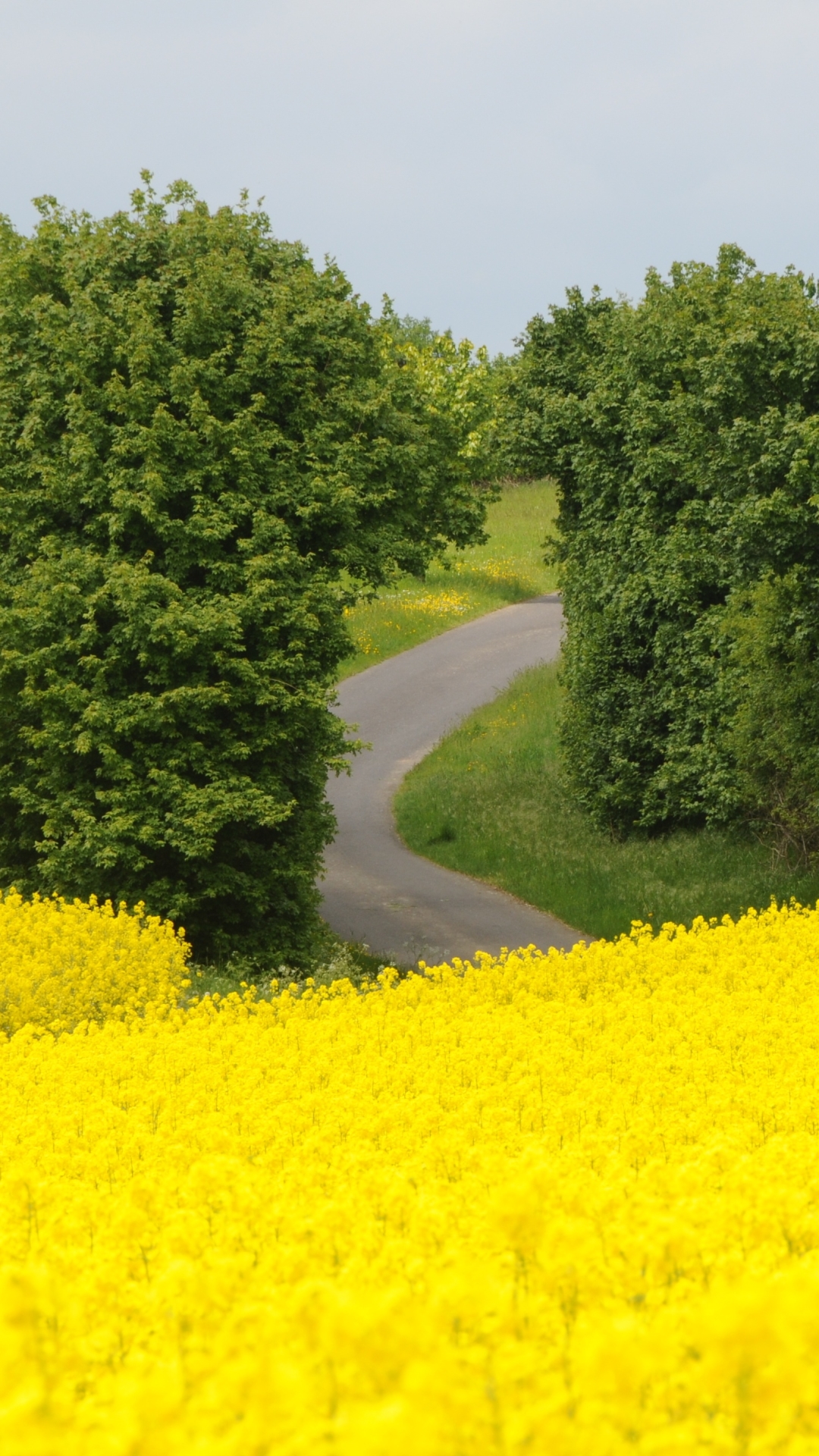 Yellow Spring Roads Wallpapers - Wallpaper Cave