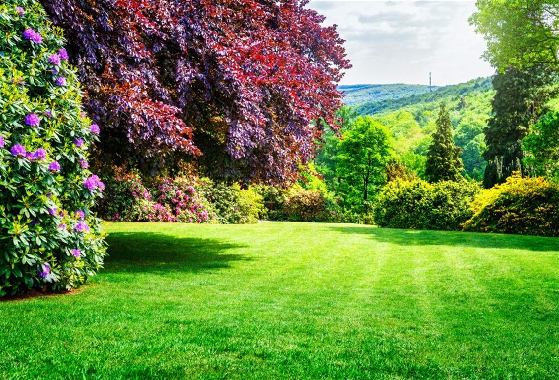 Outdoors Spring Wallpapers - Wallpaper Cave