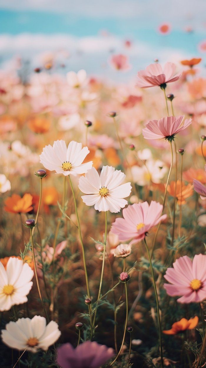 Outdoors Spring Wallpapers - Wallpaper Cave