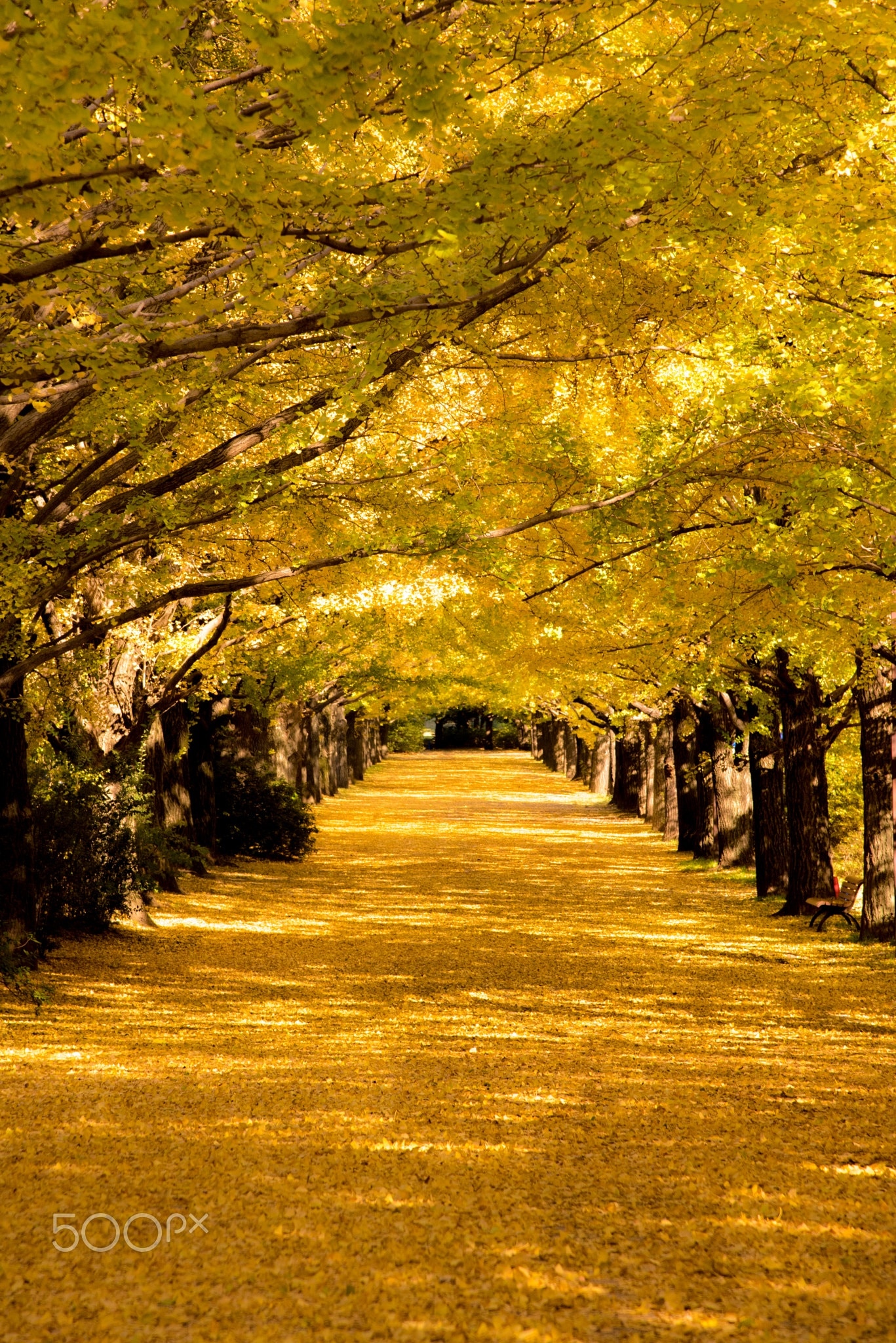 Yellow Spring Roads Wallpapers - Wallpaper Cave