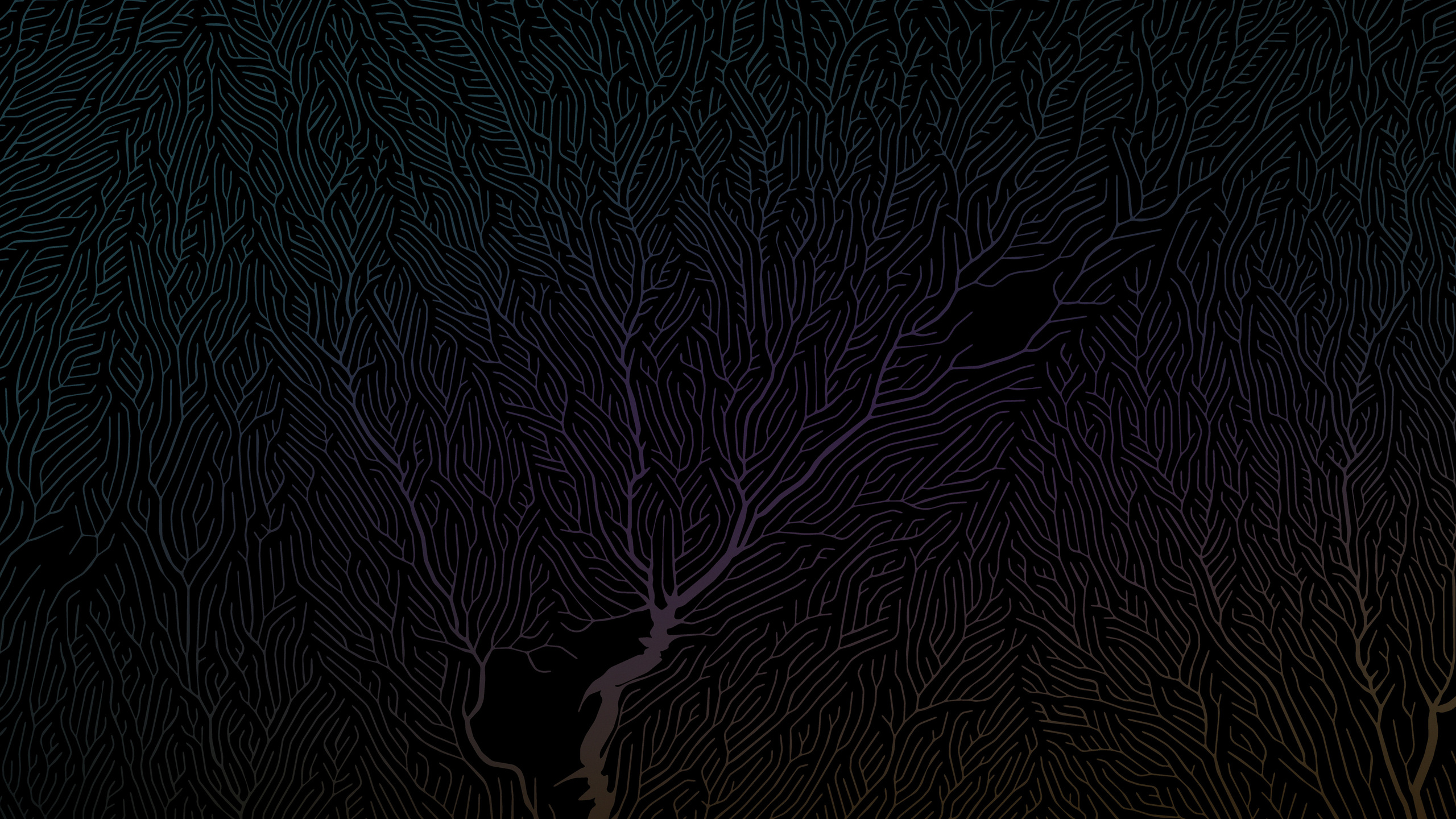 Topography 2560x1440 Wallpapers - Wallpaper Cave