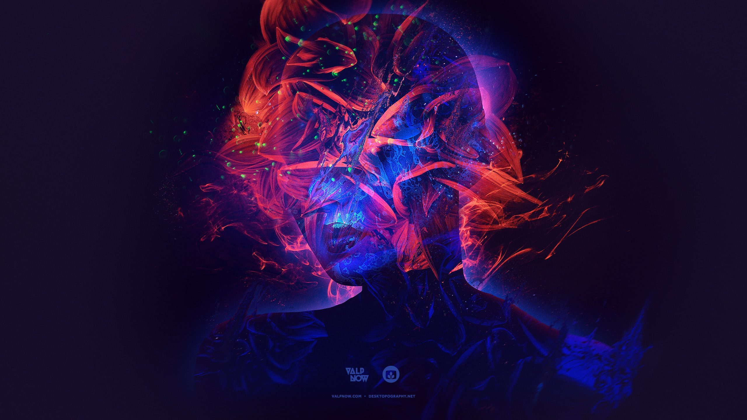 Topography 2560x1440 Wallpapers - Wallpaper Cave