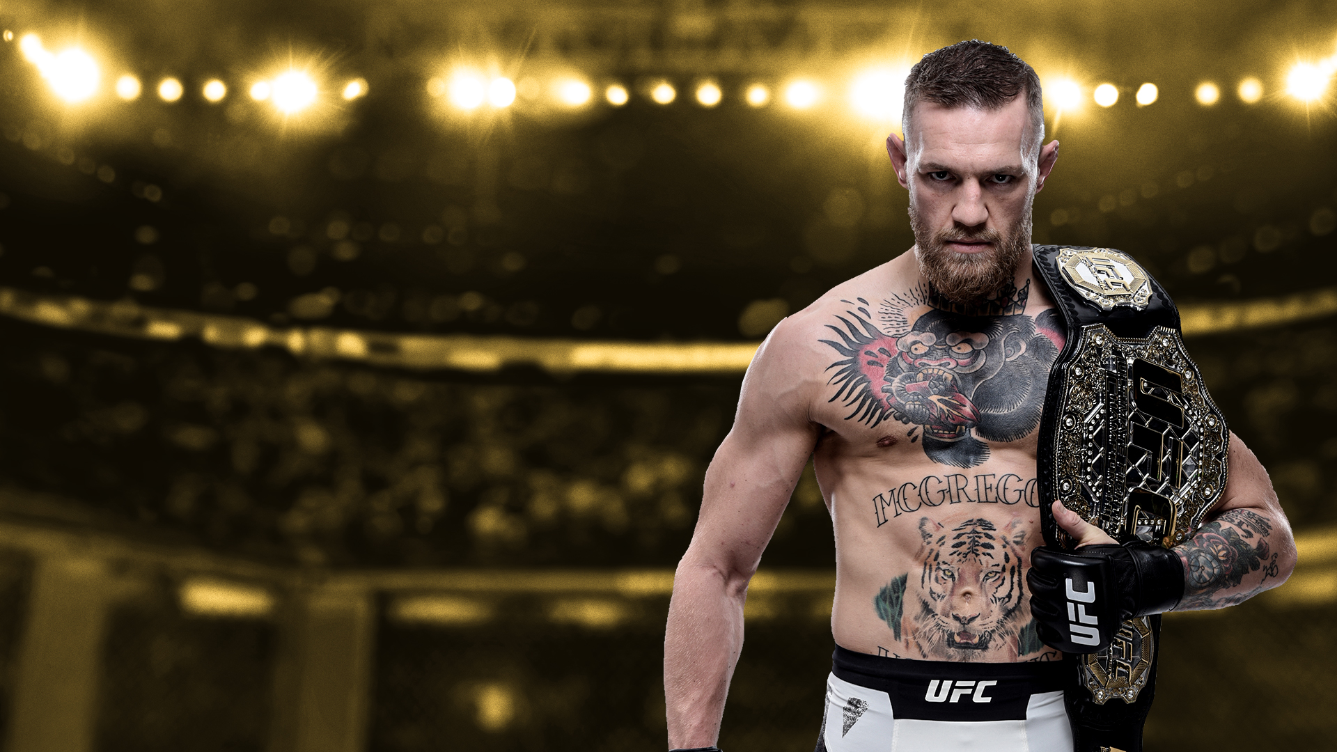 UFC PC Wallpapers - Wallpaper Cave