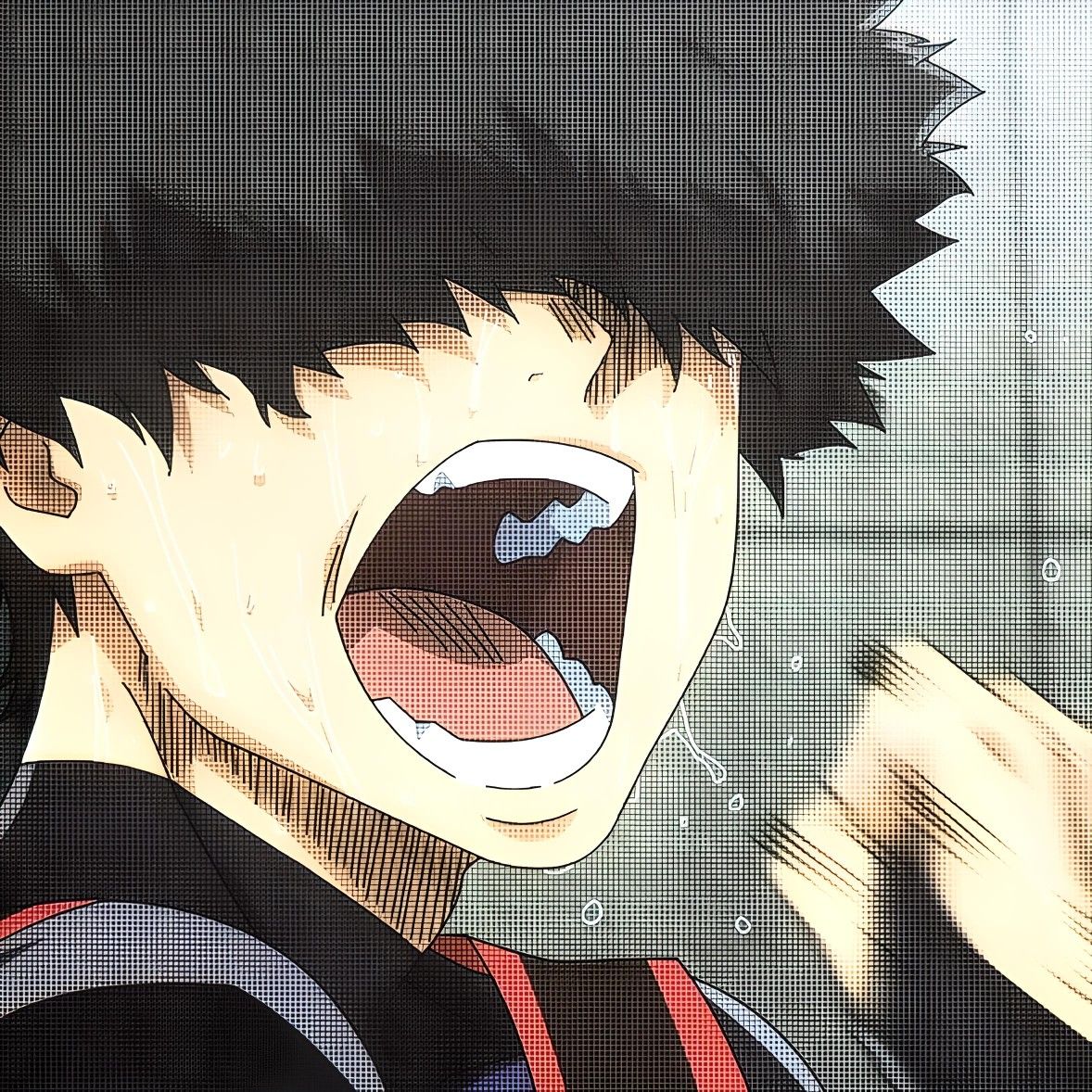 Ikki Niko Wallpapers - Wallpaper Cave