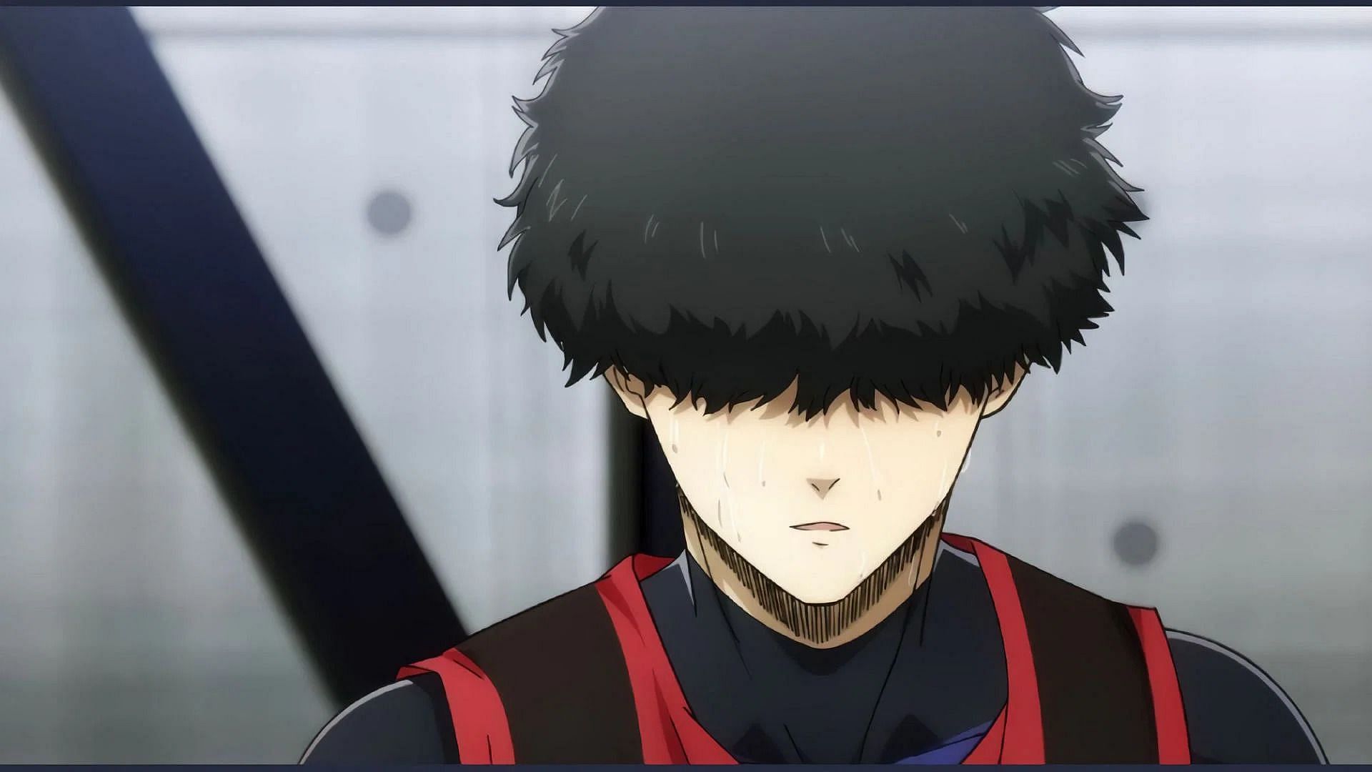 Ikki Niko Wallpapers - Wallpaper Cave