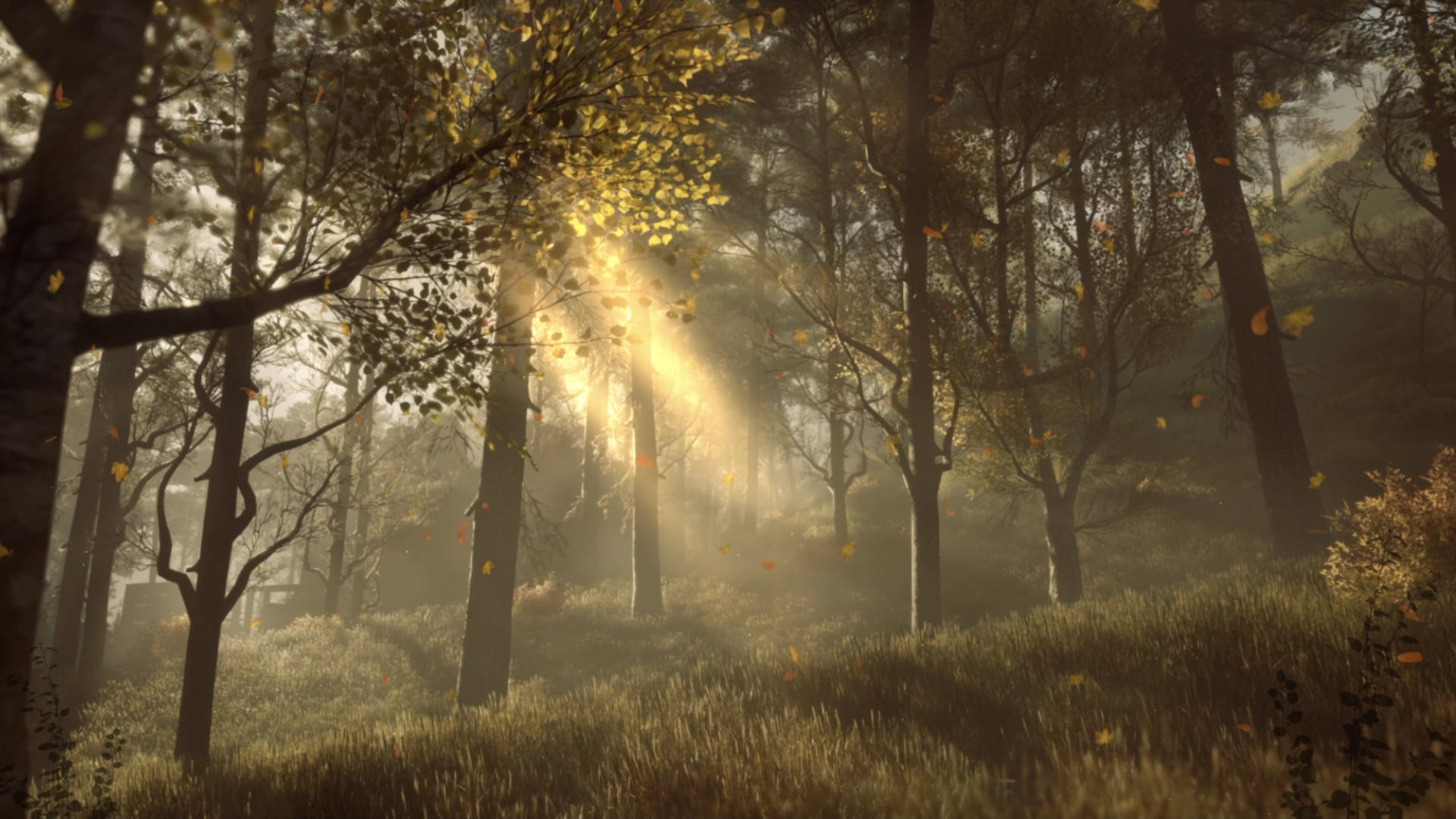 Hogwarts Legacy Autumn Wallpapers - Wallpaper Cave