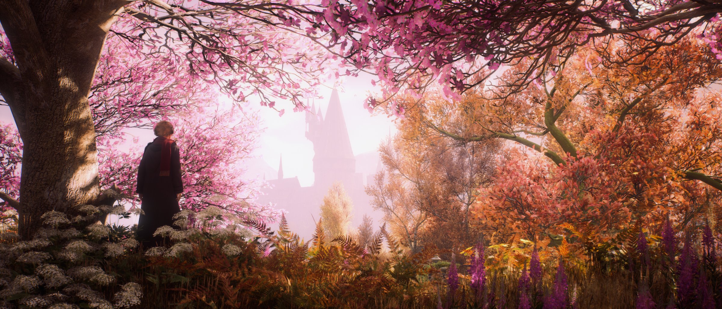 Hogwarts Legacy Autumn Wallpapers - Wallpaper Cave