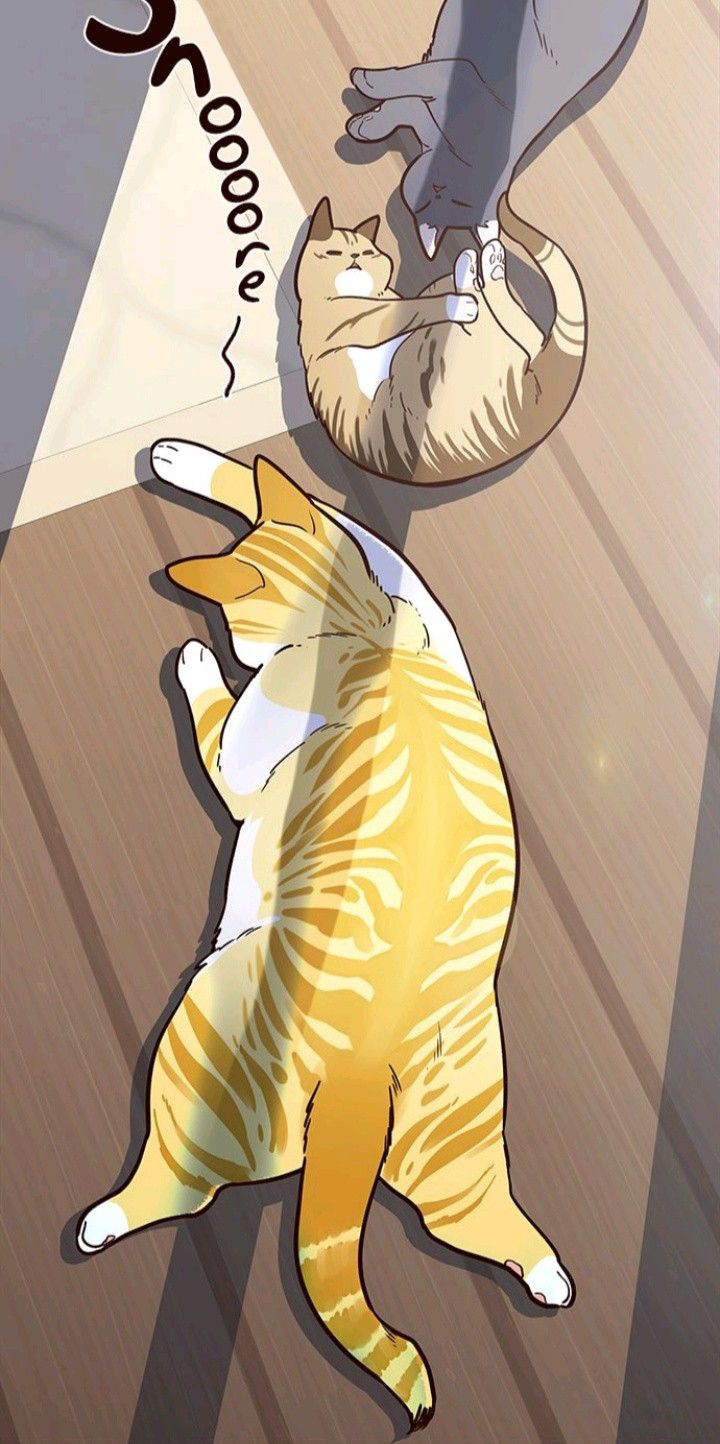 Kayden Break Wallpapers - Wallpaper Cave