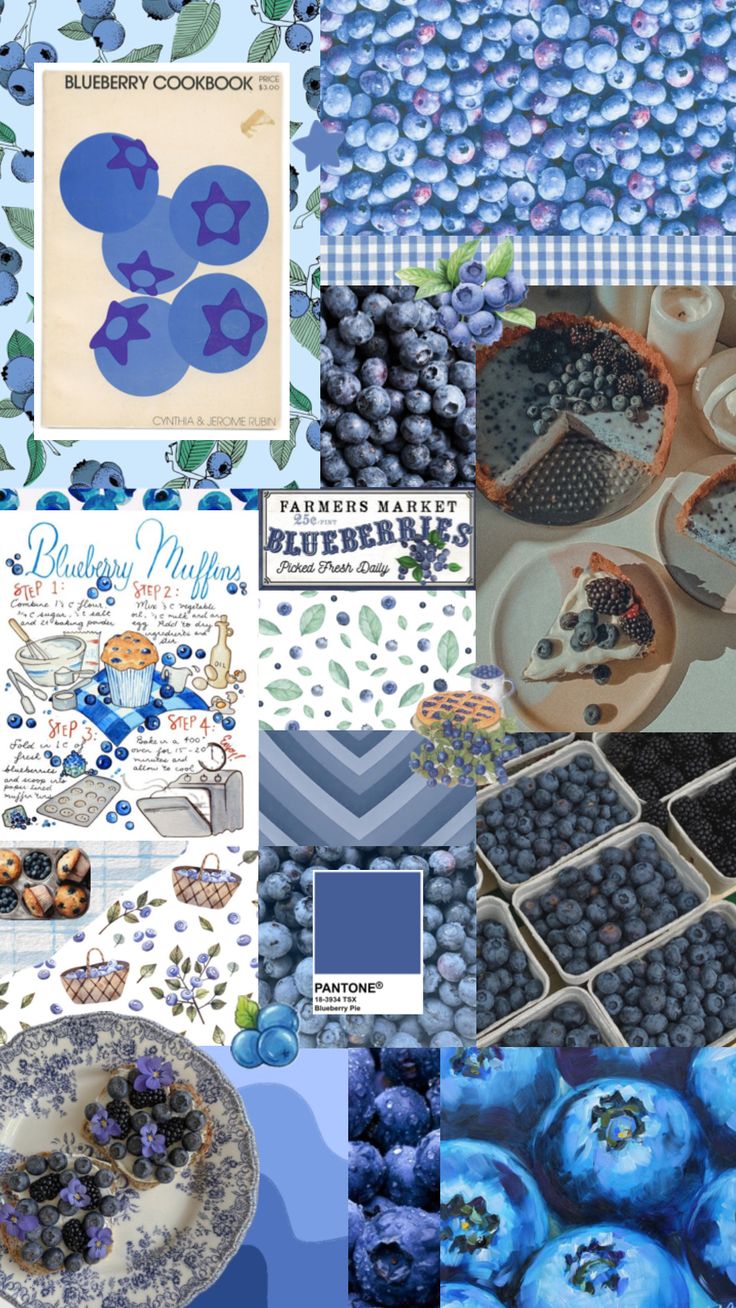 Summer Blueberry Wallpapers - Wallpaper Cave