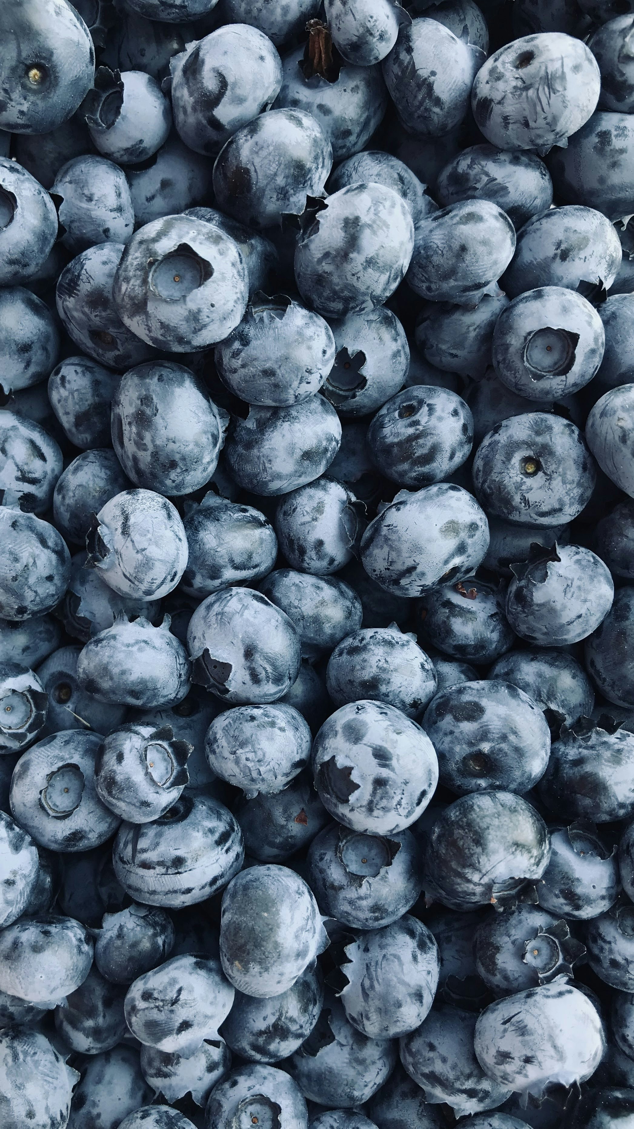 Summer Blueberry Wallpapers - Wallpaper Cave