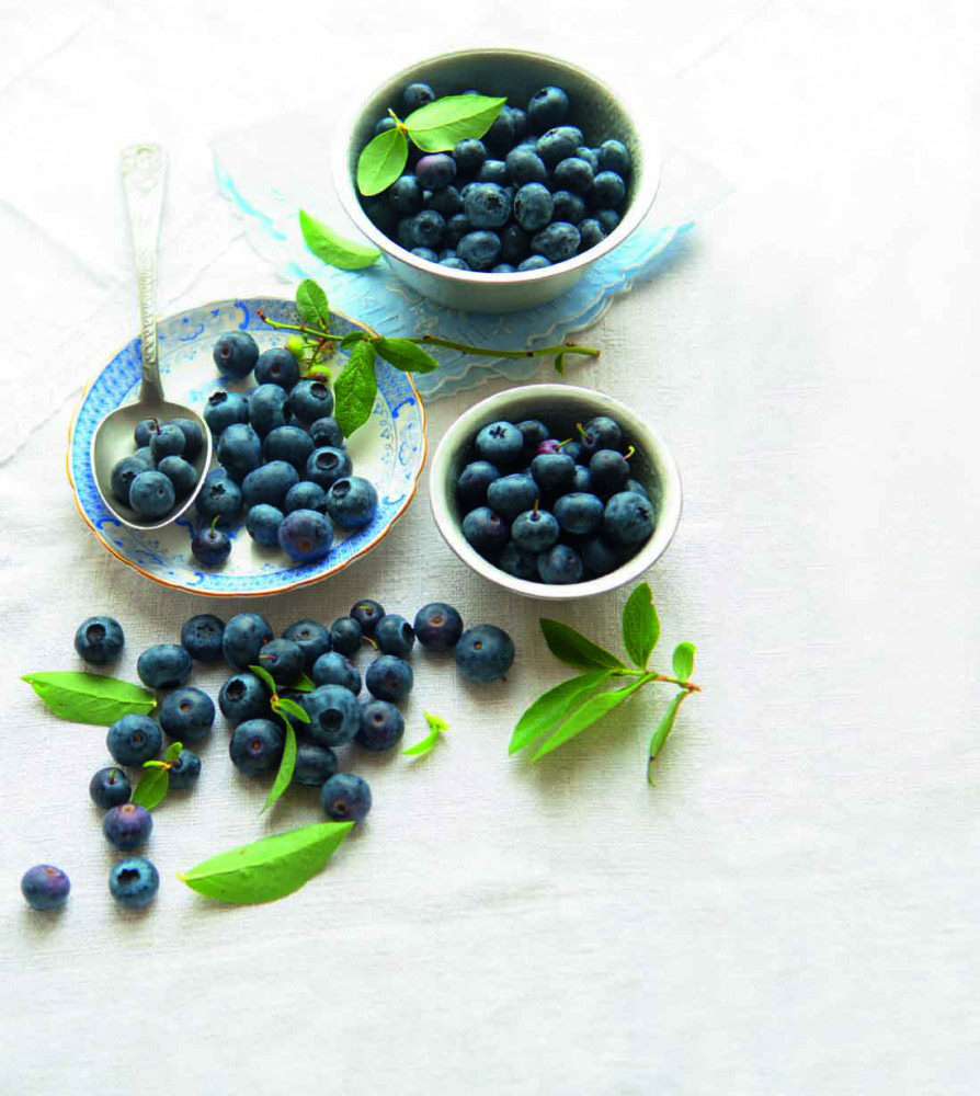 Summer Blueberry Wallpapers - Wallpaper Cave