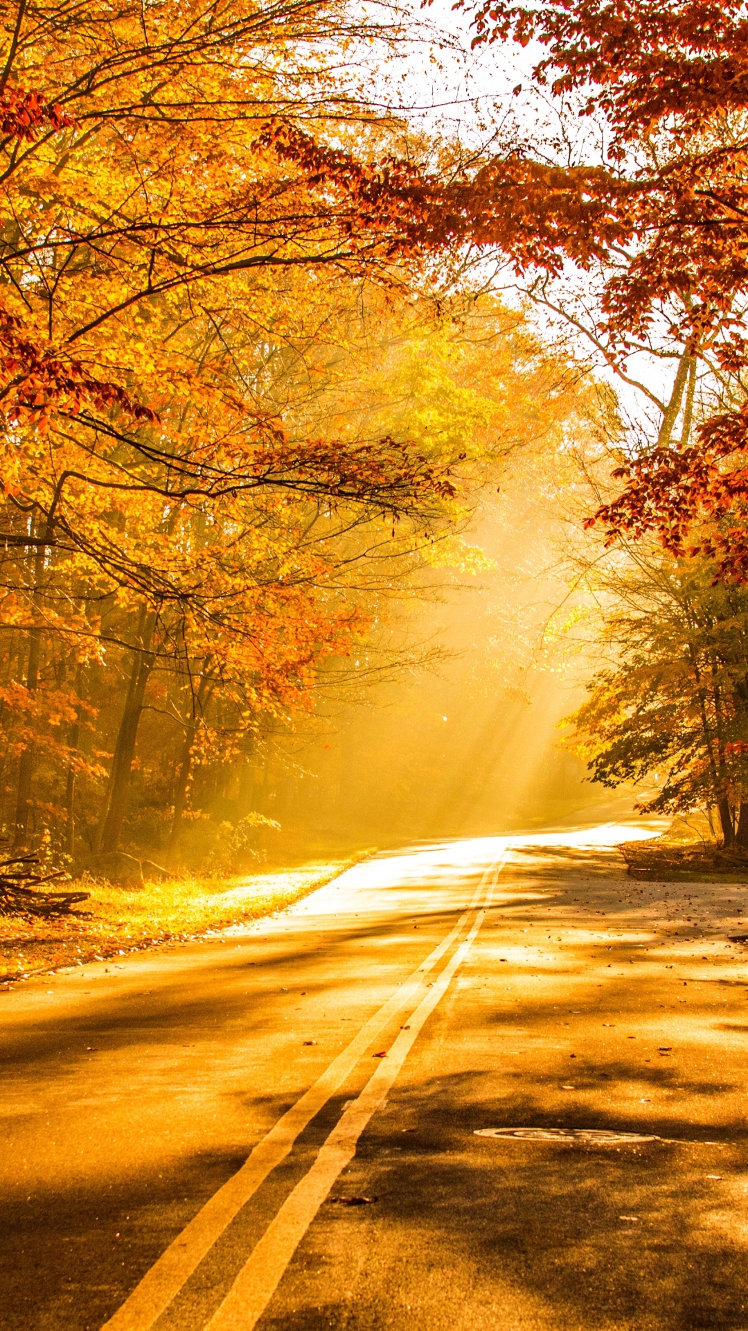 Autumn Roads Phone Wallpapers - Wallpaper Cave