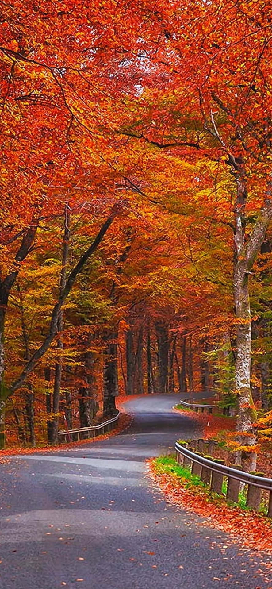 Autumn Roads Phone Wallpapers - Wallpaper Cave