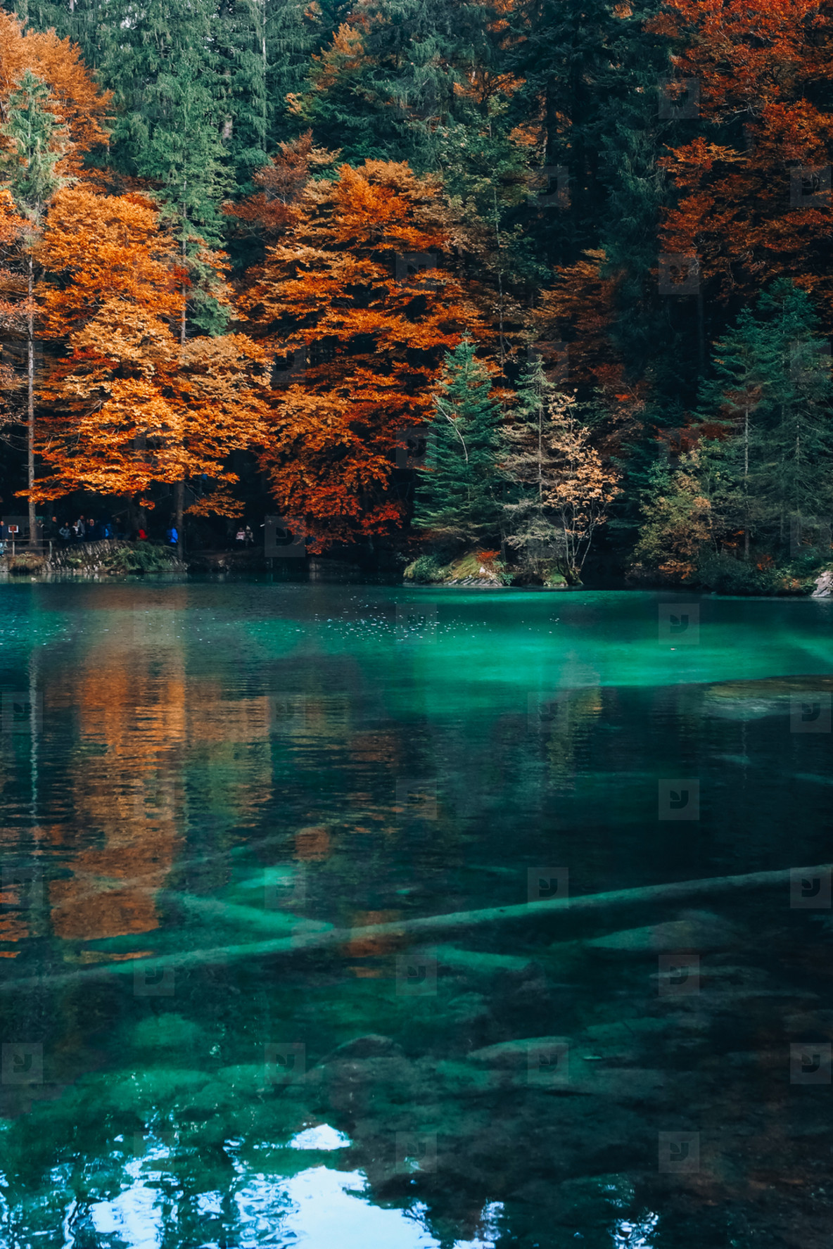 Switzerland Autumn iPhone Wallpapers - Wallpaper Cave