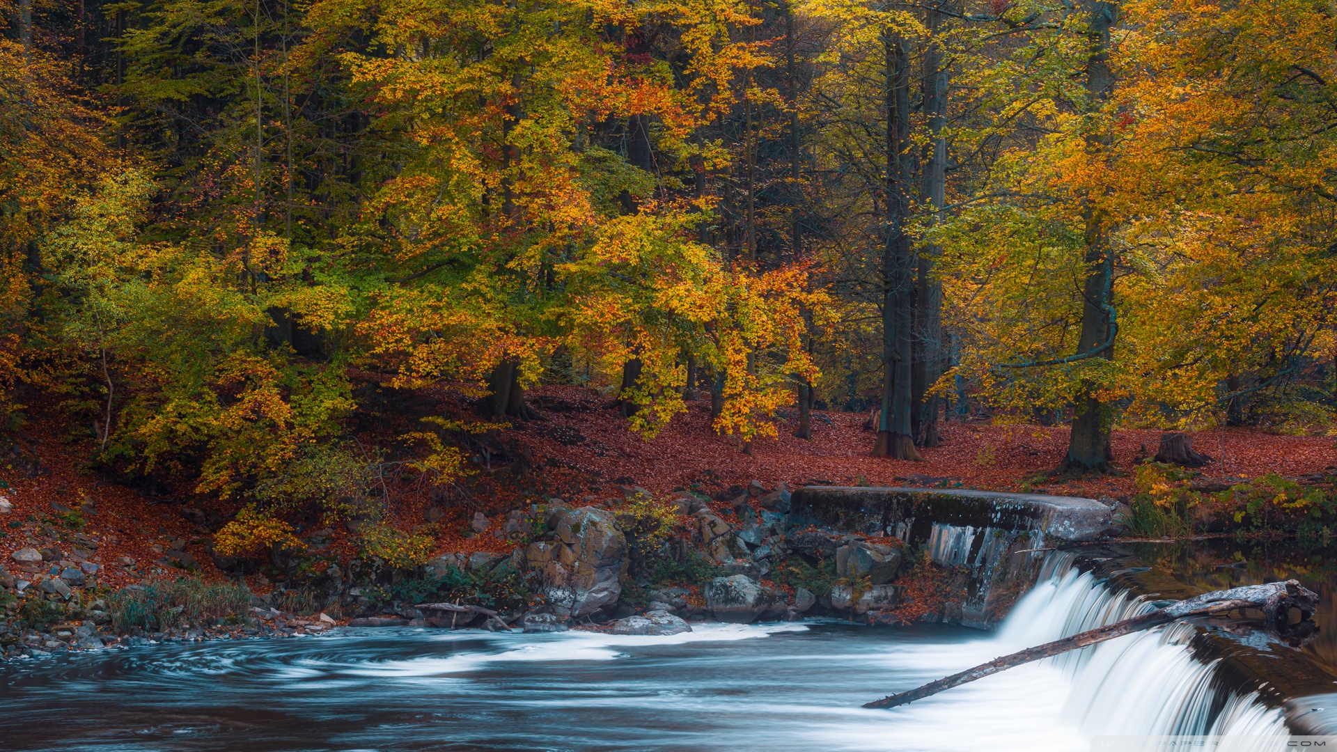 Autumn Forest River Wallpapers - Wallpaper Cave