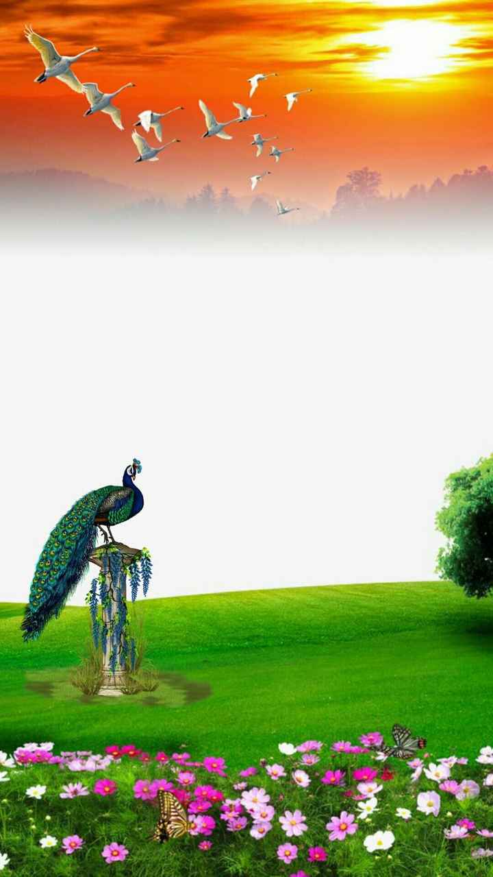 Natural Studio HD Wallpapers - Wallpaper Cave