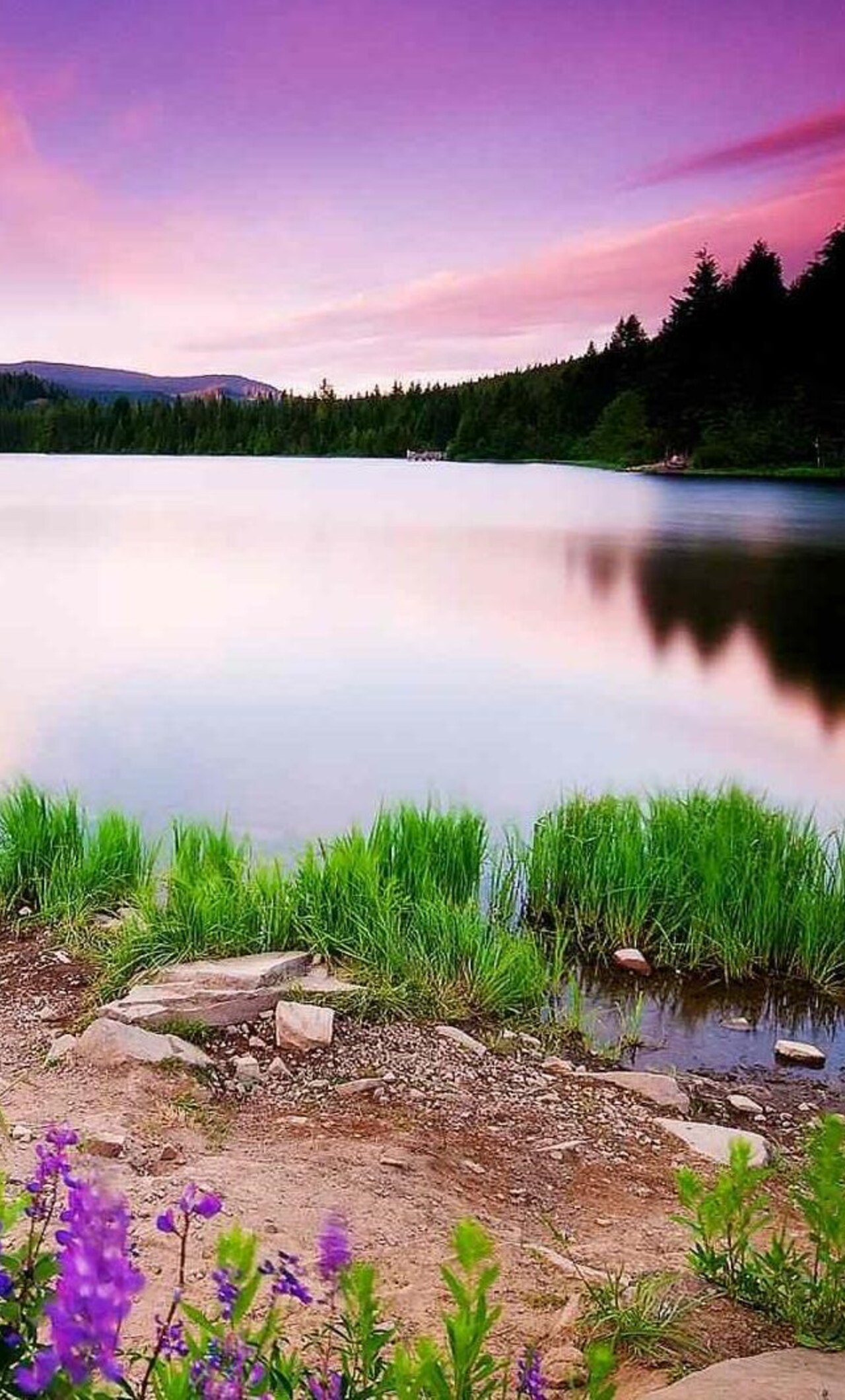 Natural Studio HD Wallpapers - Wallpaper Cave