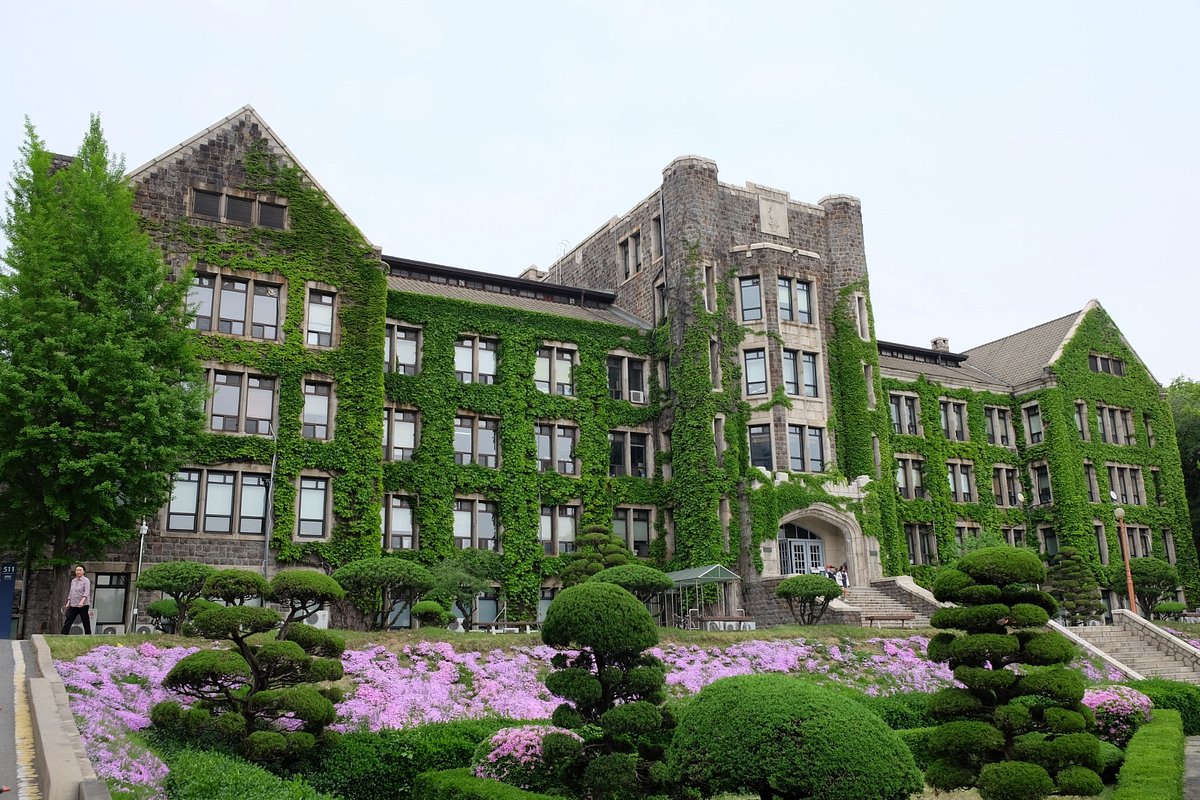 Yonsei Wallpapers - Wallpaper Cave