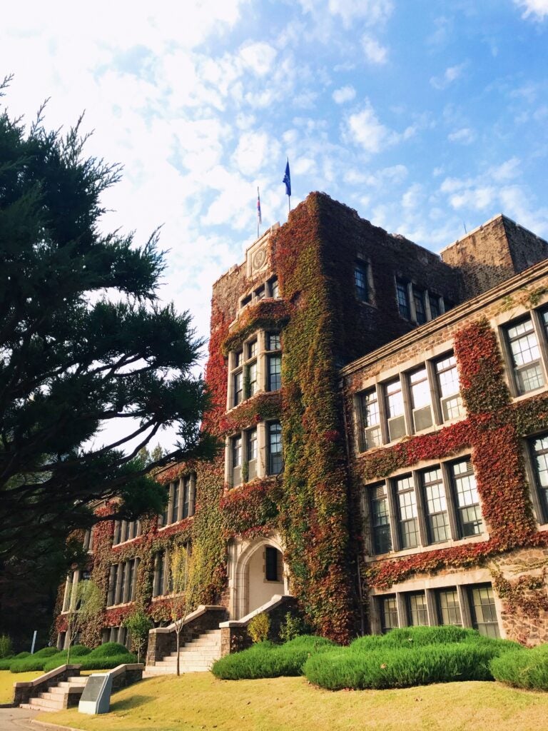 Yonsei Wallpapers - Wallpaper Cave