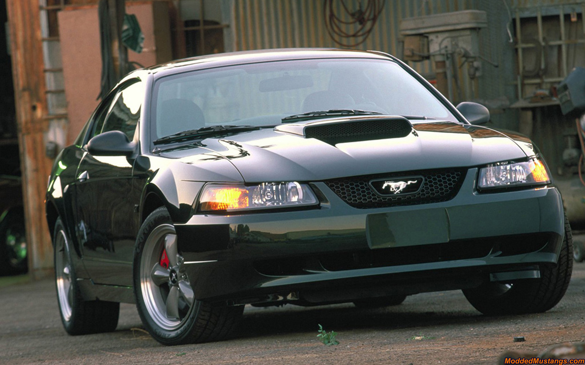 Mustang 2000 Wallpapers - Wallpaper Cave