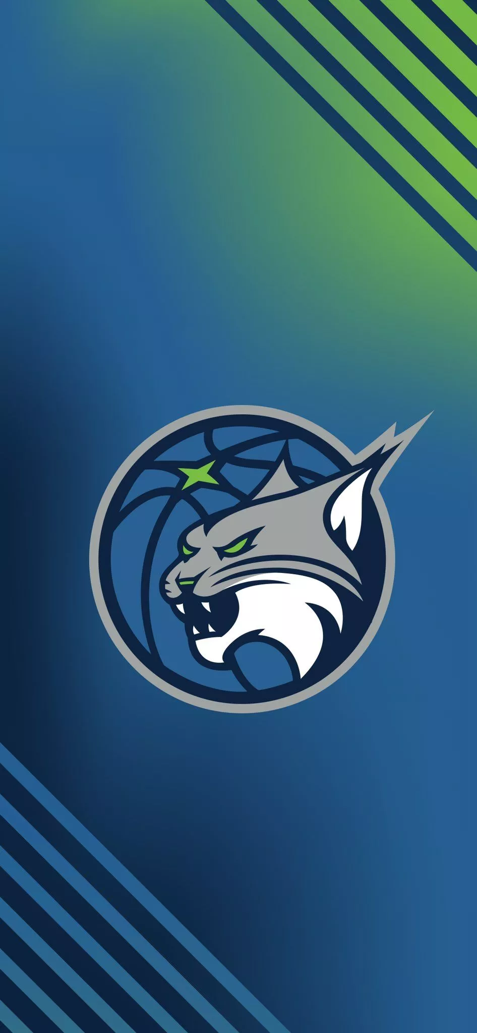 Minnesota Lynx Wallpapers - Wallpaper Cave