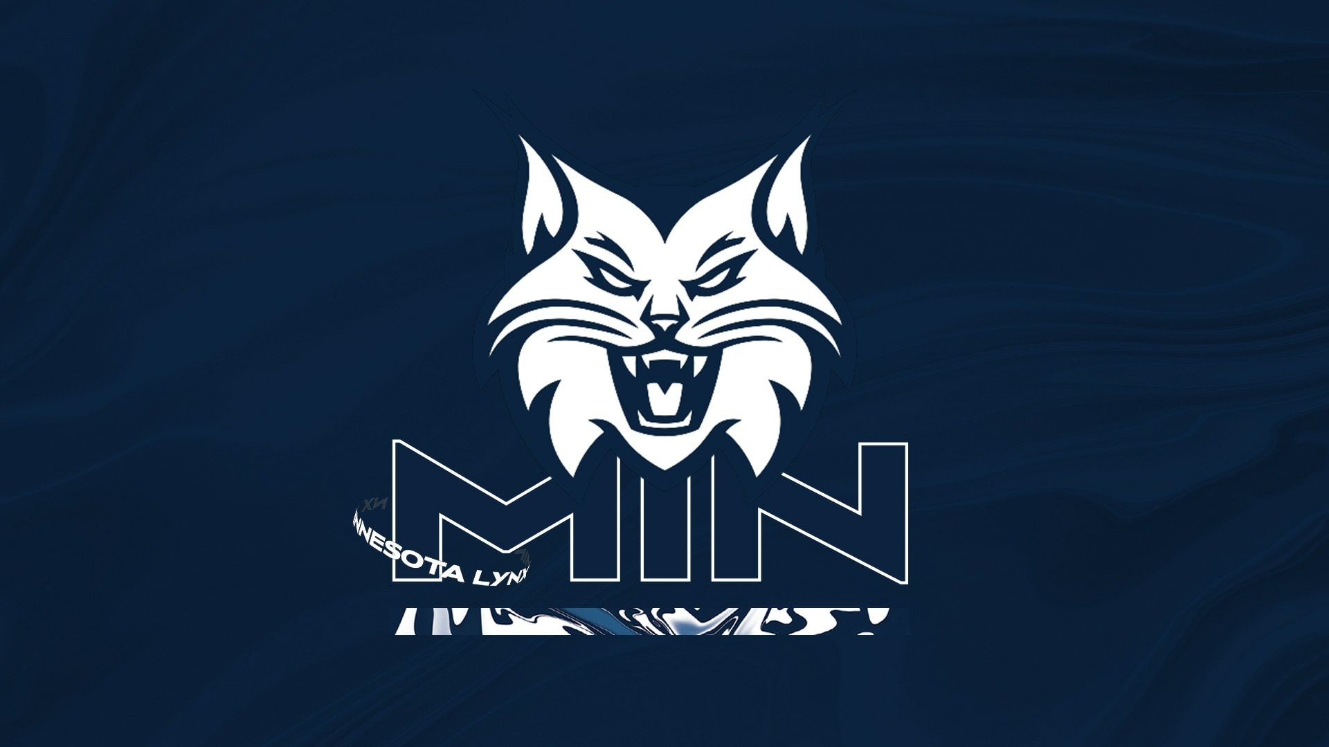 Minnesota Lynx Wallpapers - Wallpaper Cave