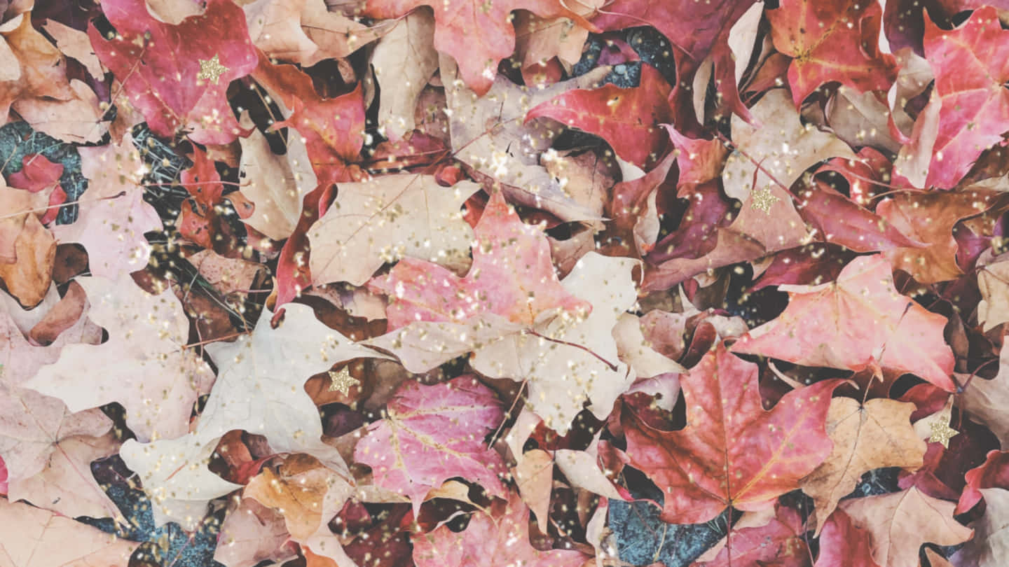 Pink Fall Desktop Wallpapers - Wallpaper Cave